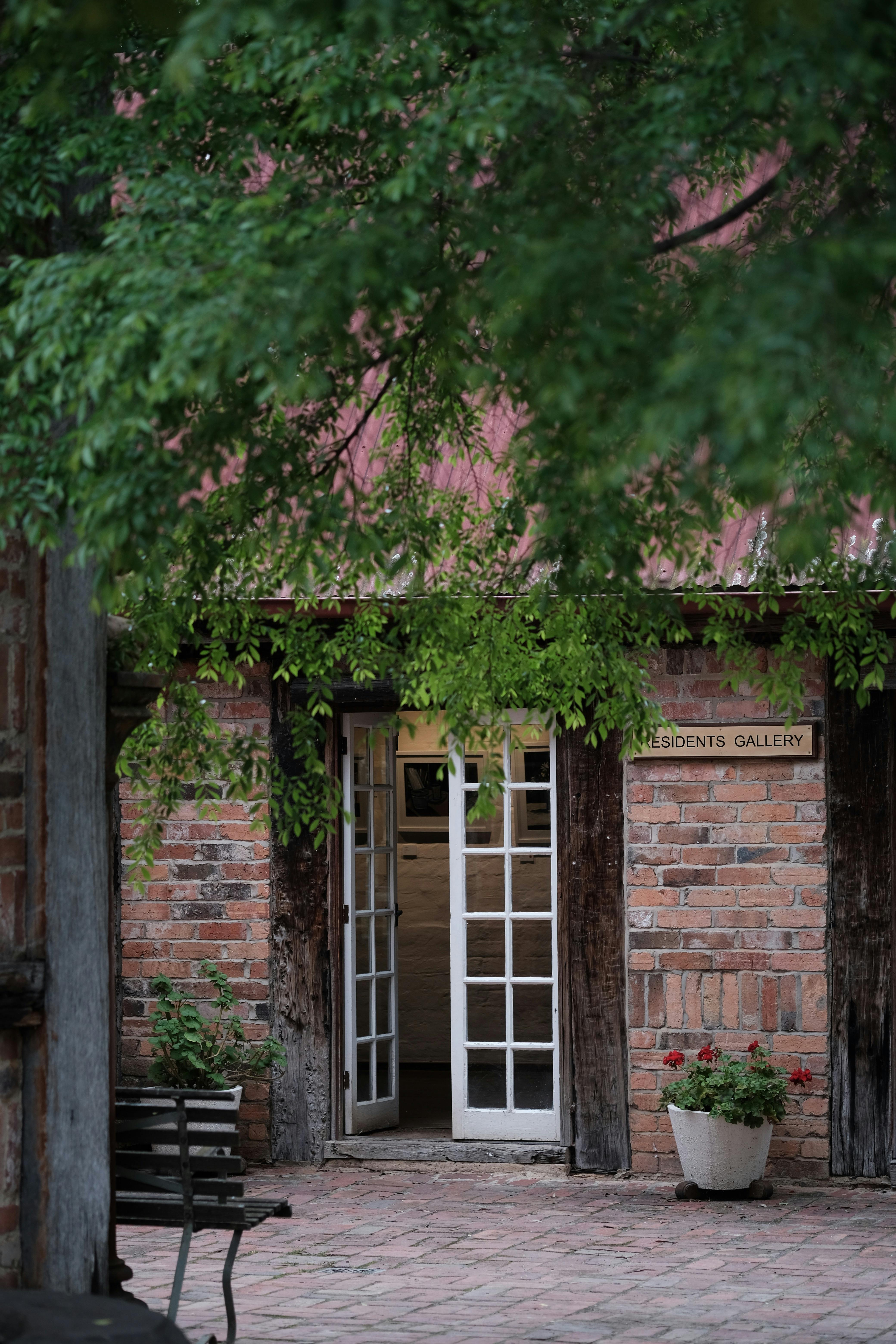 Tree near Building Door · Free Stock Photo