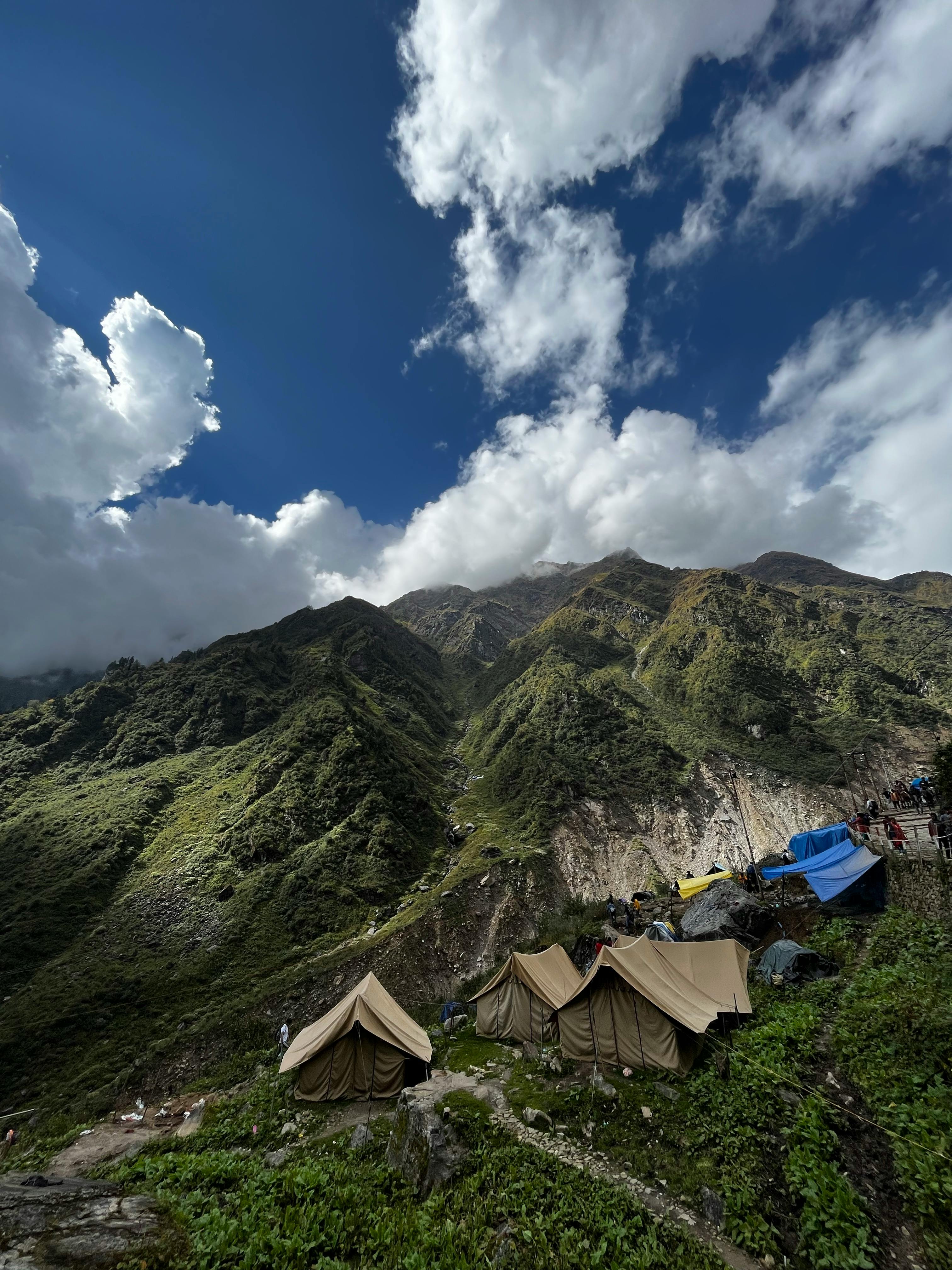 White Land Rover Defender in Jungle · Free Stock Photo