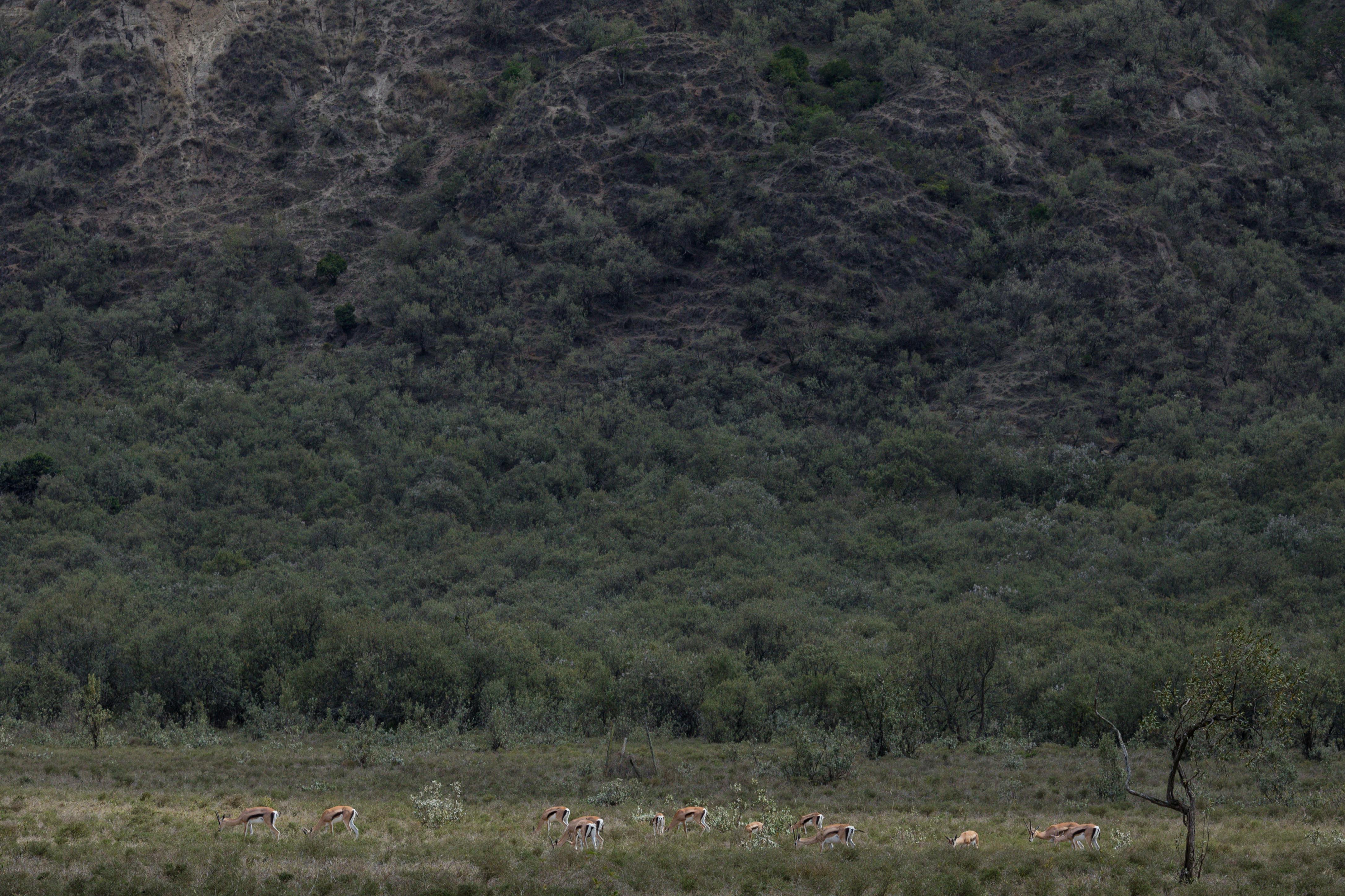 Plain Animations Photos, Download The BEST Free Plain Animations Stock ...