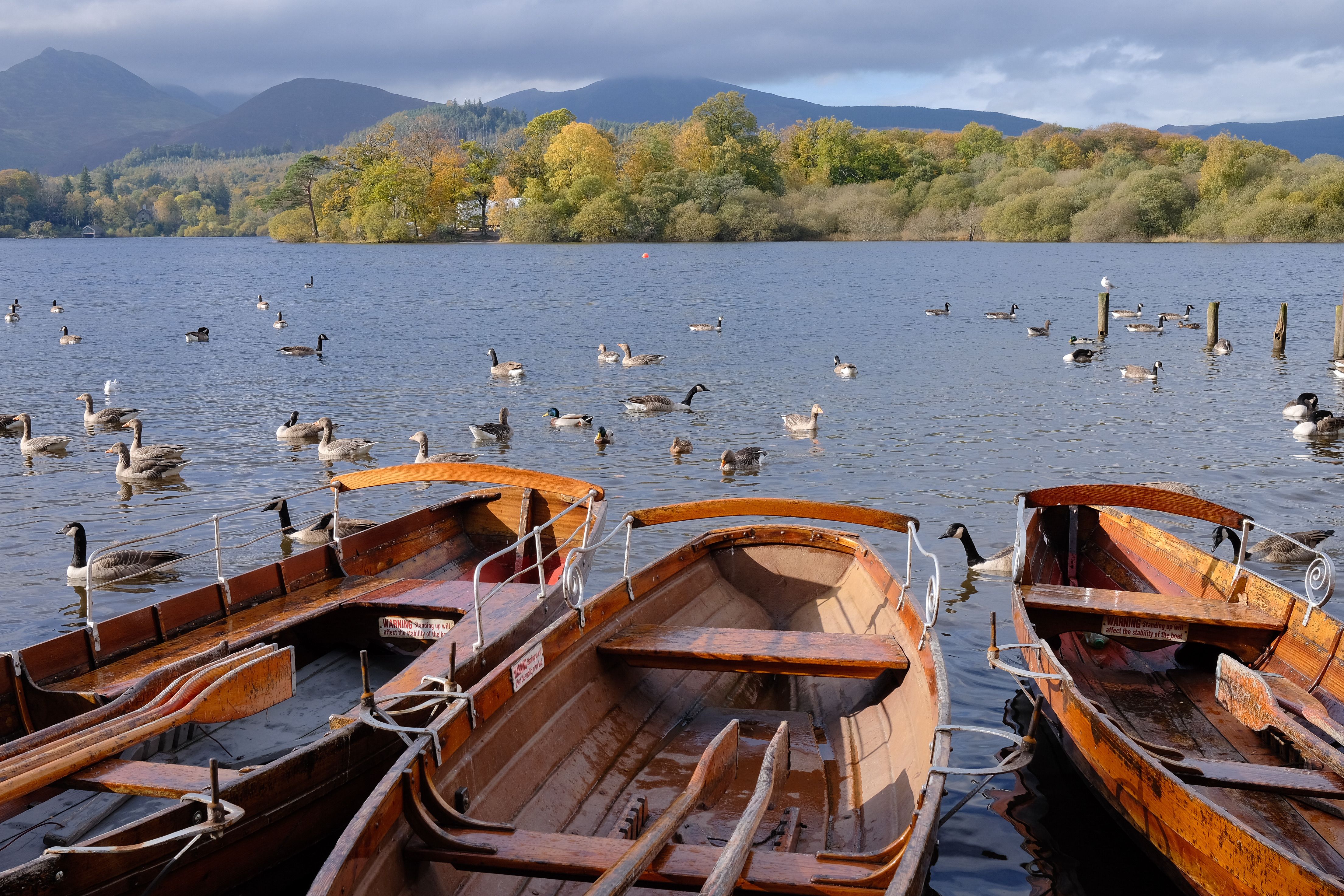 A Wooden Boats on the Lake · Free Stock Photo