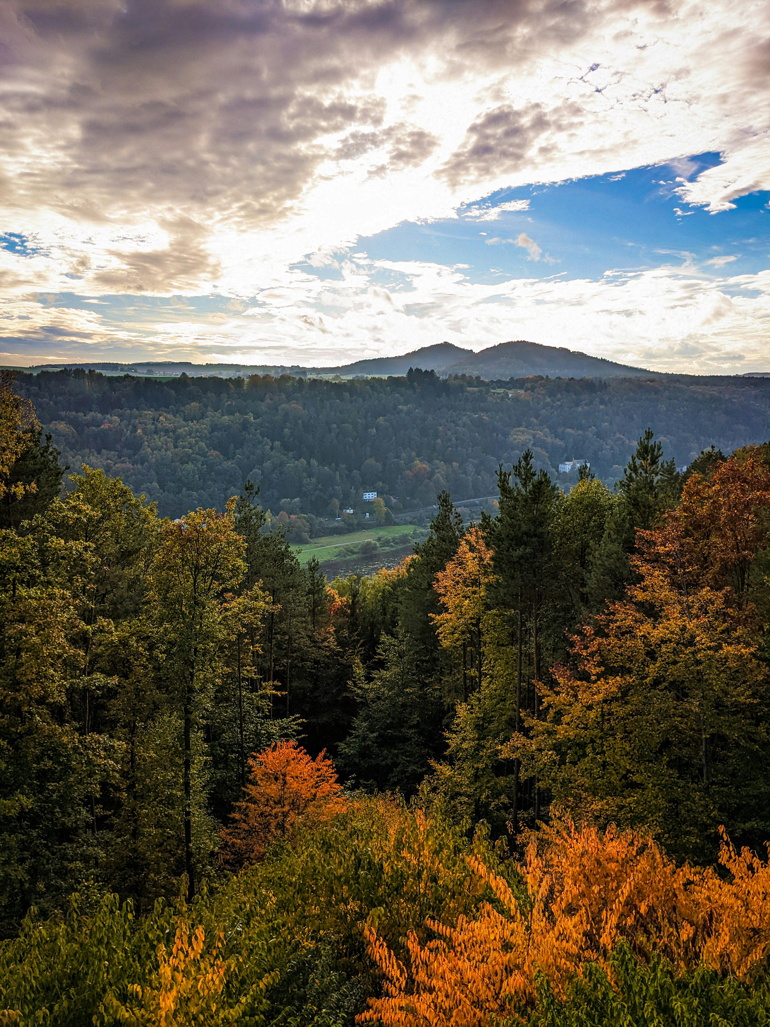 Autumn Trees Under Cloudy Sky · Free Stock Photo
