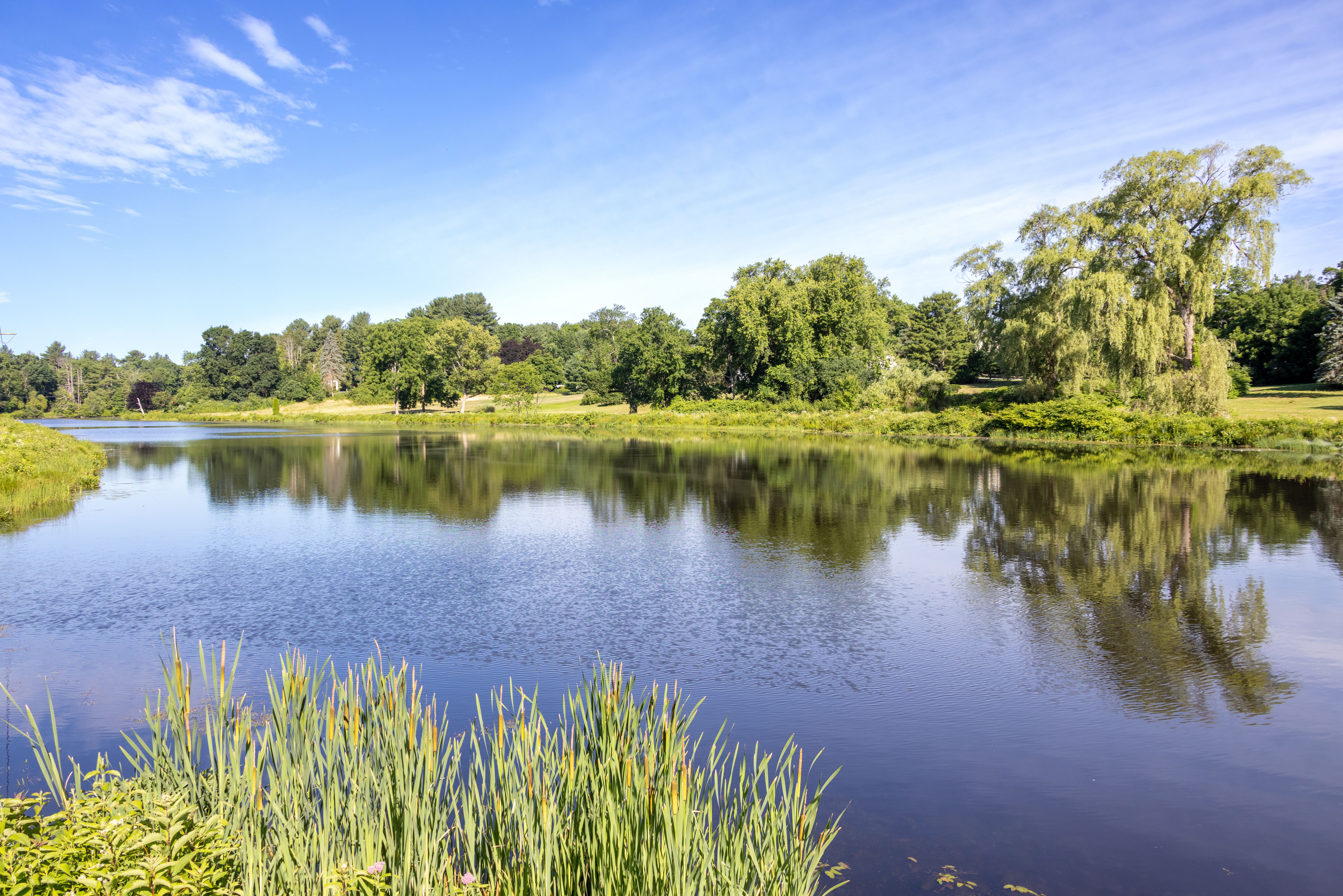 Green Grass Near River · Free Stock Photo