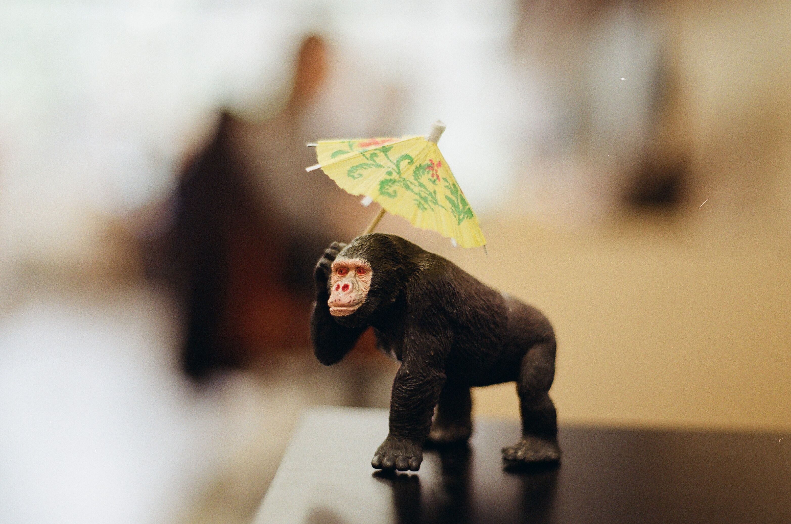 Gorilla Figurine on the Table · Free Stock Photo