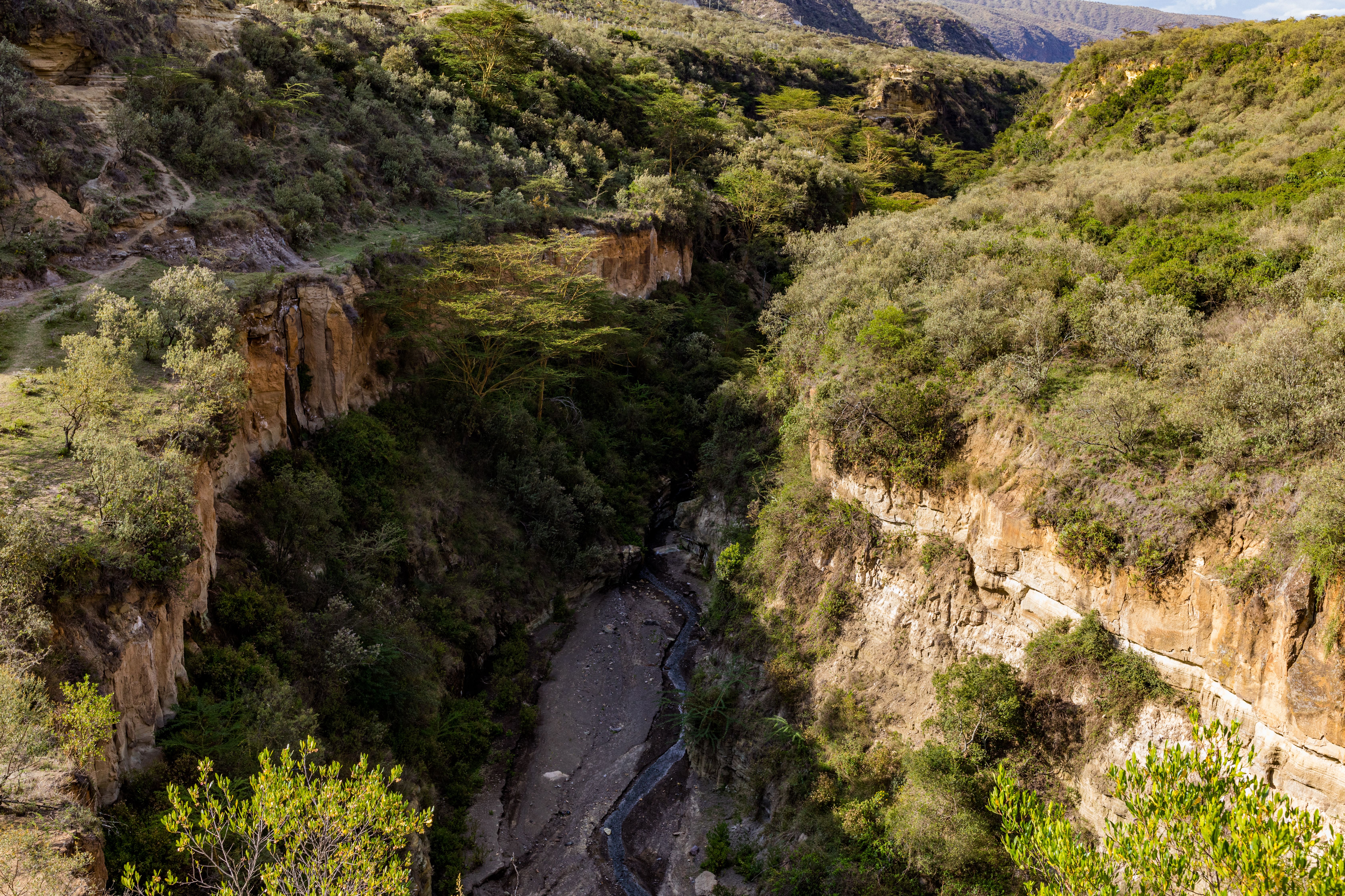 Mountains and a River in the Valley · Free Stock Photo