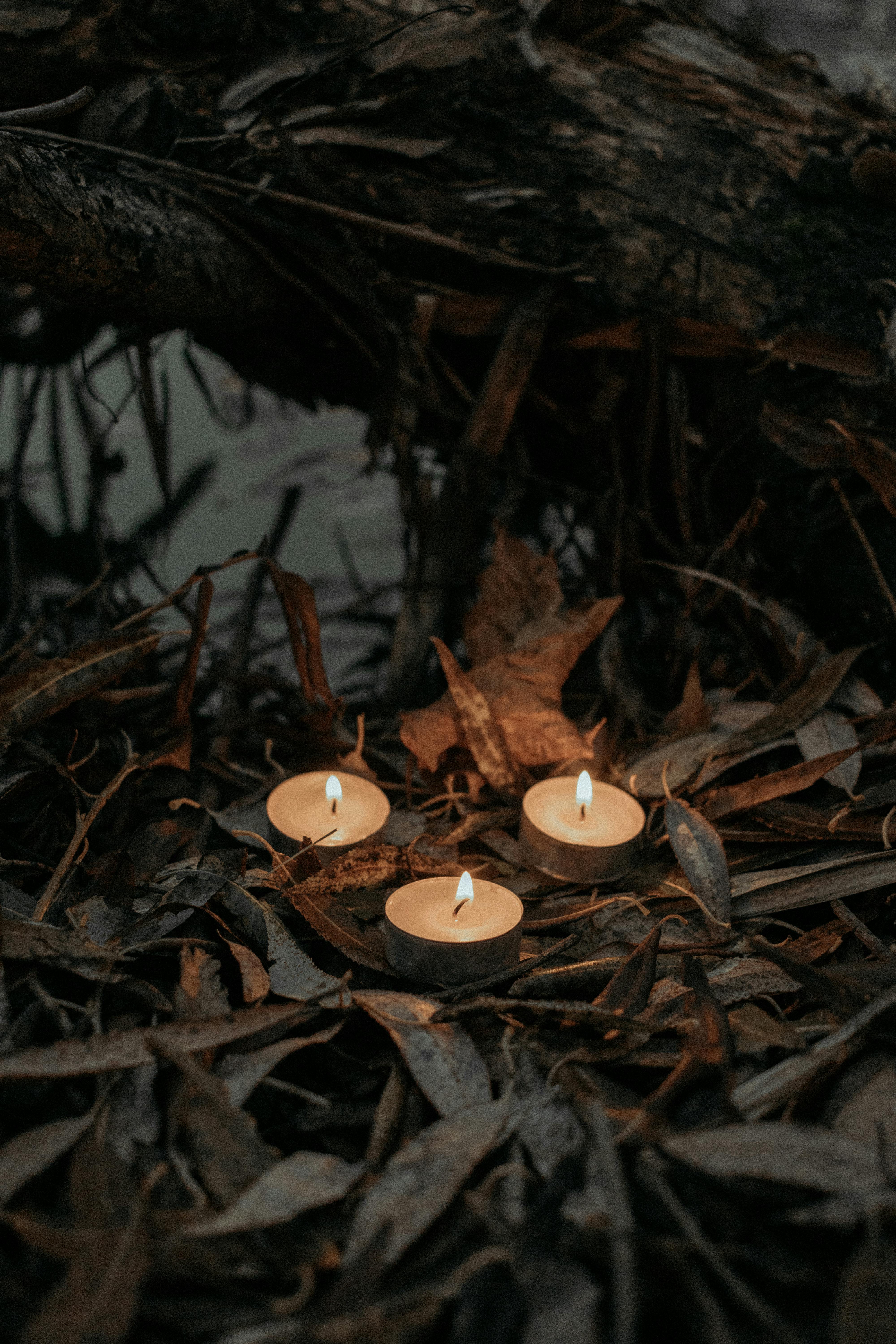 Fire Figthing Photos, Download The BEST Free Fire Figthing Stock Photos ...