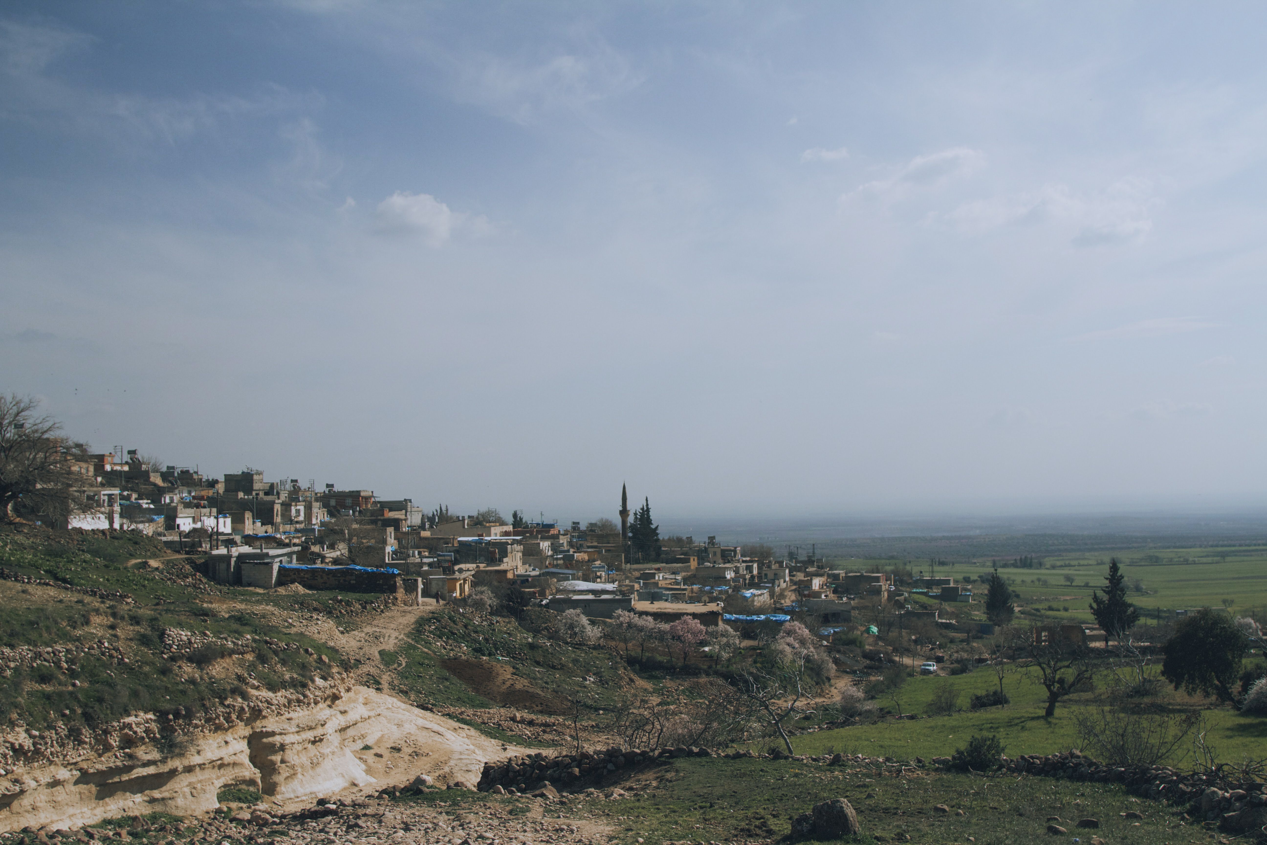 Hill Moina Photos, Download The BEST Free Hill Moina Stock Photos & HD ...