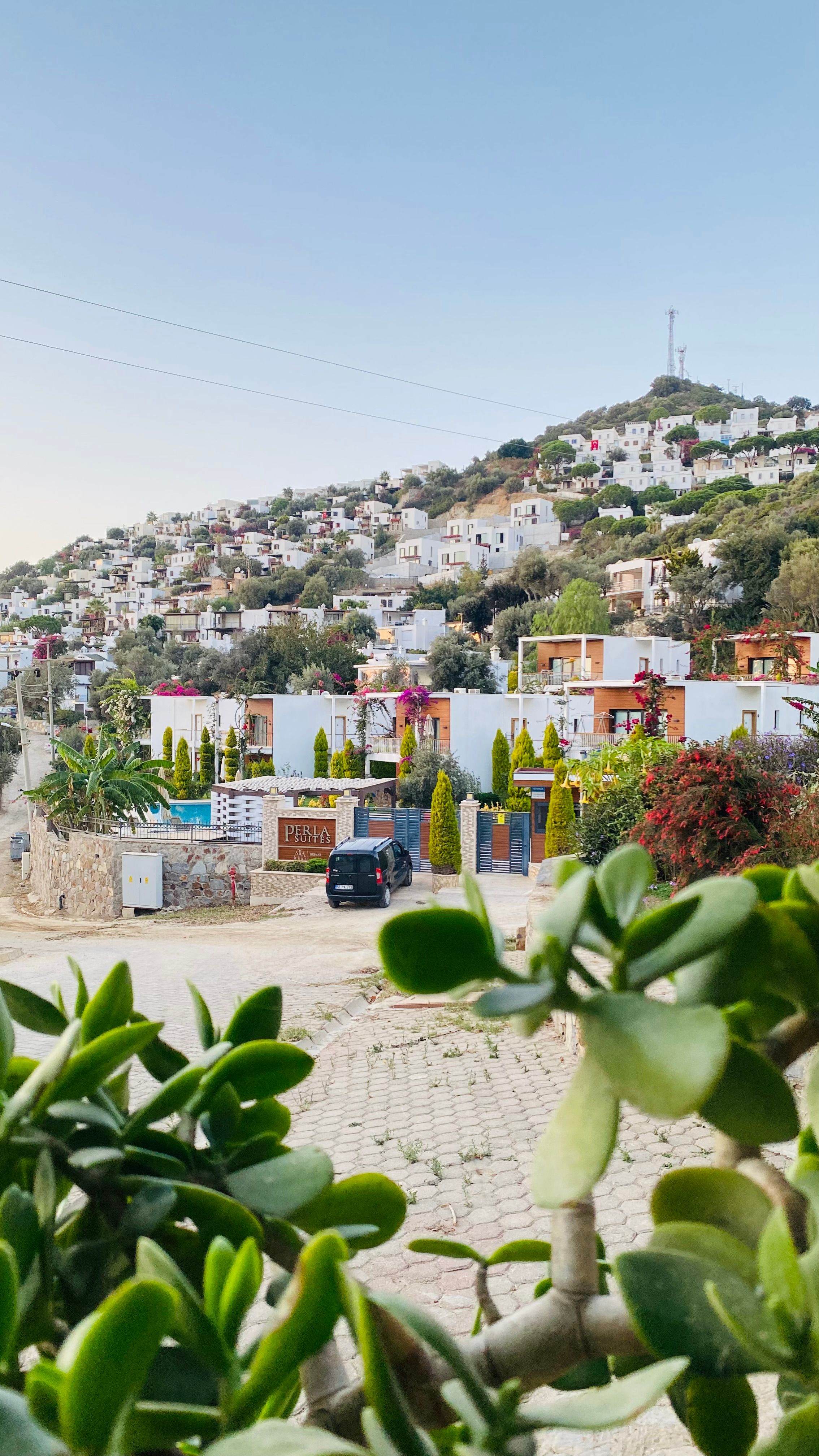 Hill Moina Photos, Download The BEST Free Hill Moina Stock Photos & HD ...