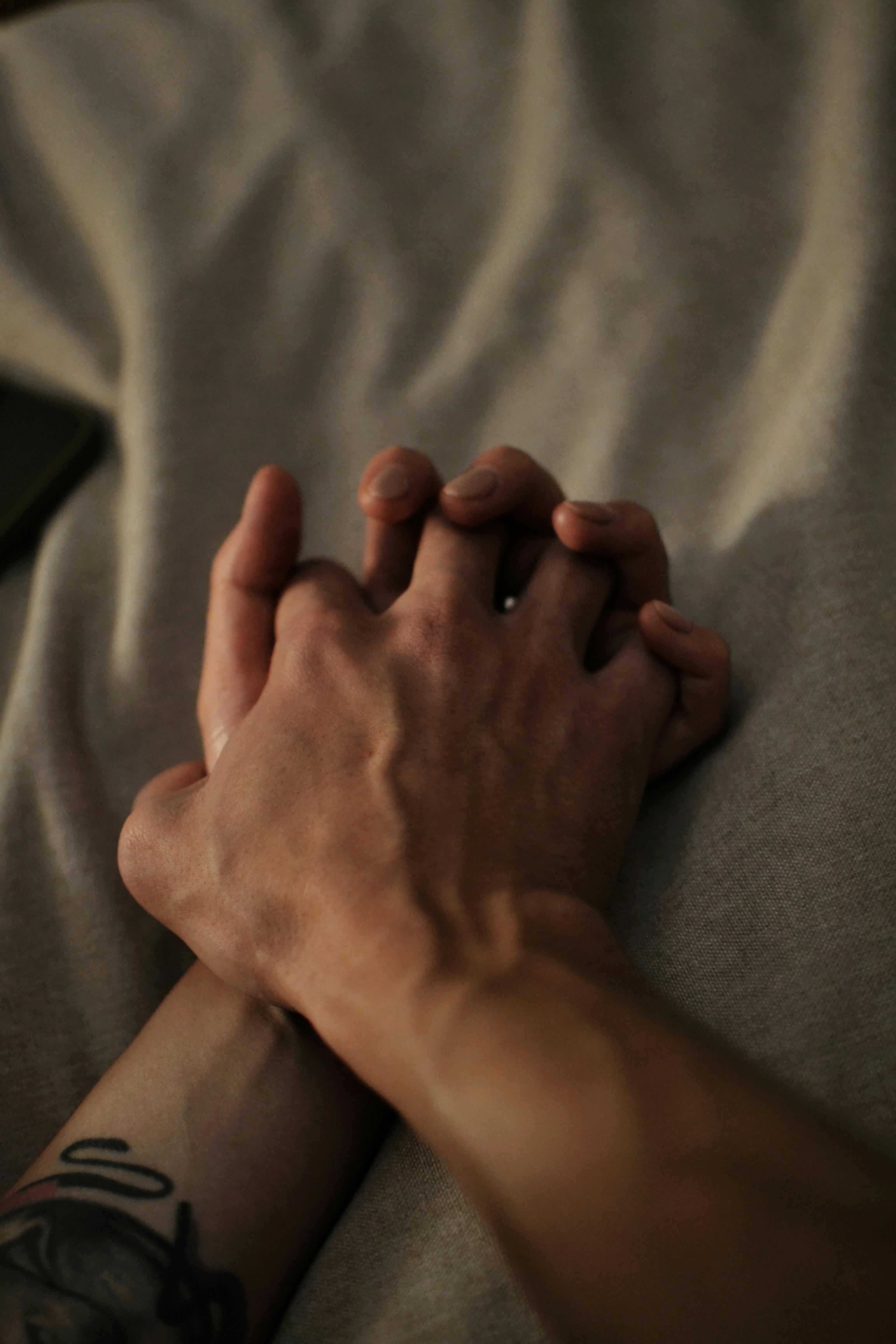 Forgive Photos, Download The BEST Free Forgive Stock Photos & HD Images