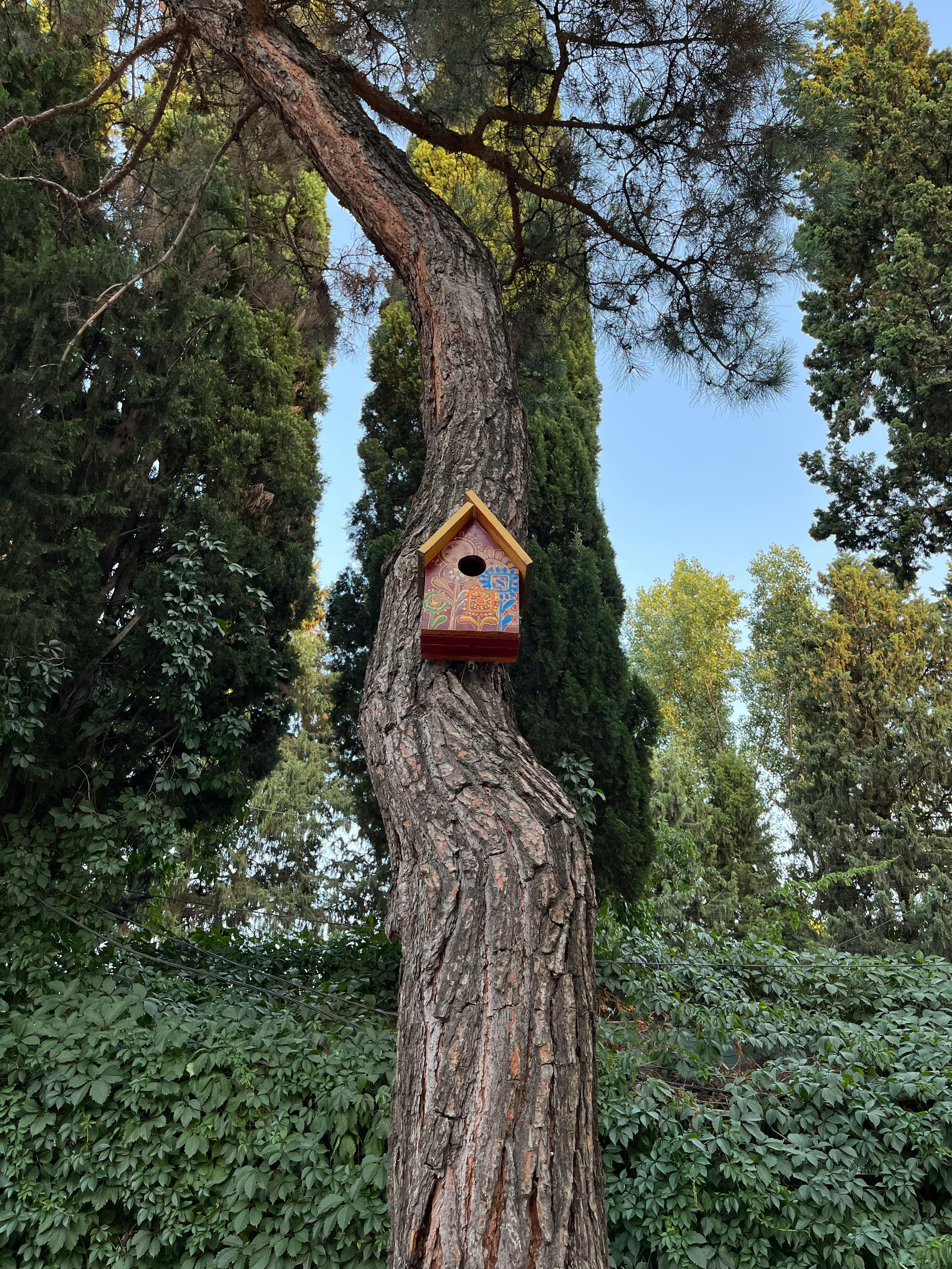 Photo of Bird House on a Tree · Free Stock Photo