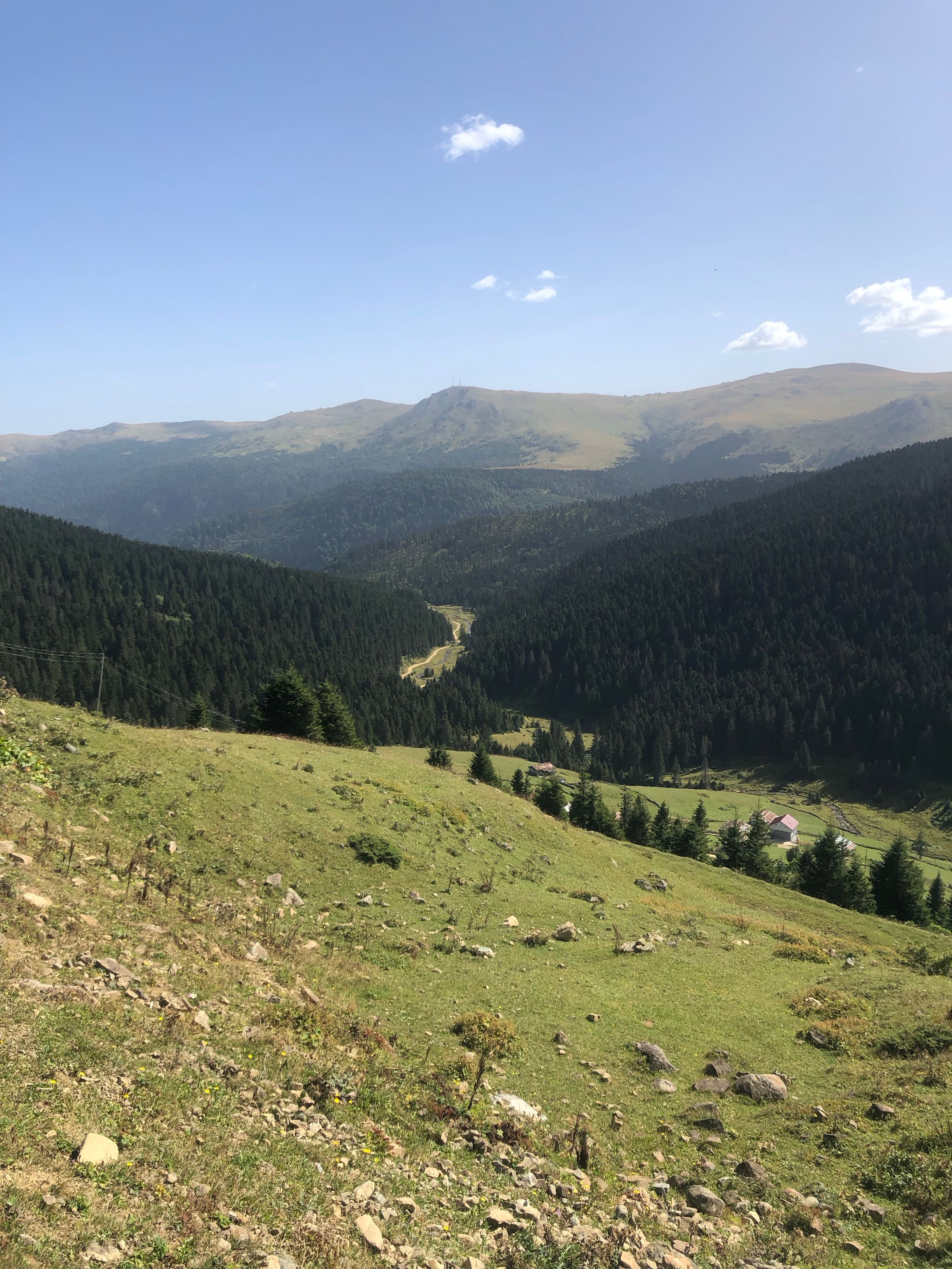 Tank in Field in Mountains Landscape · Free Stock Photo