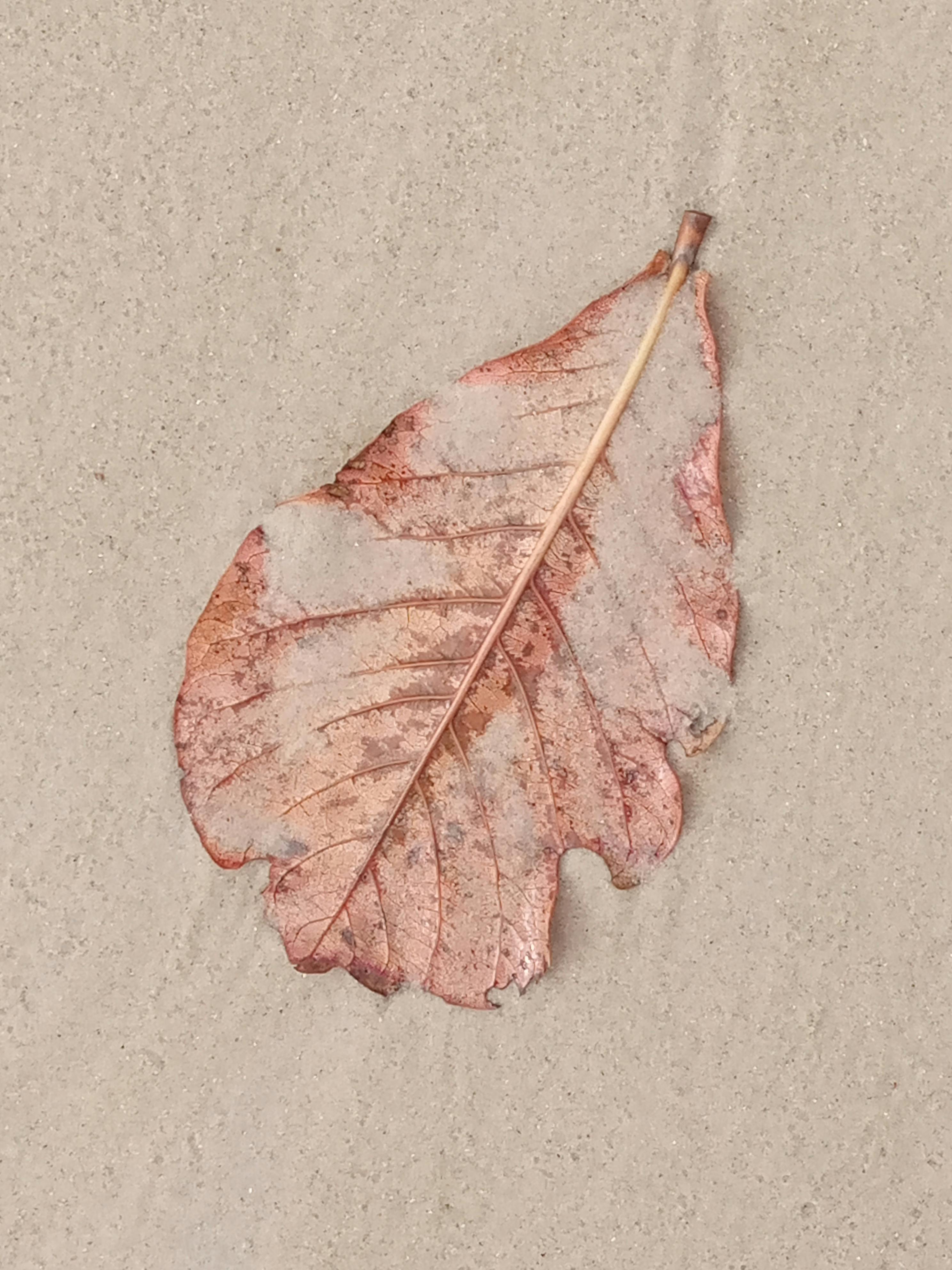 Sabine Bauer - Photography