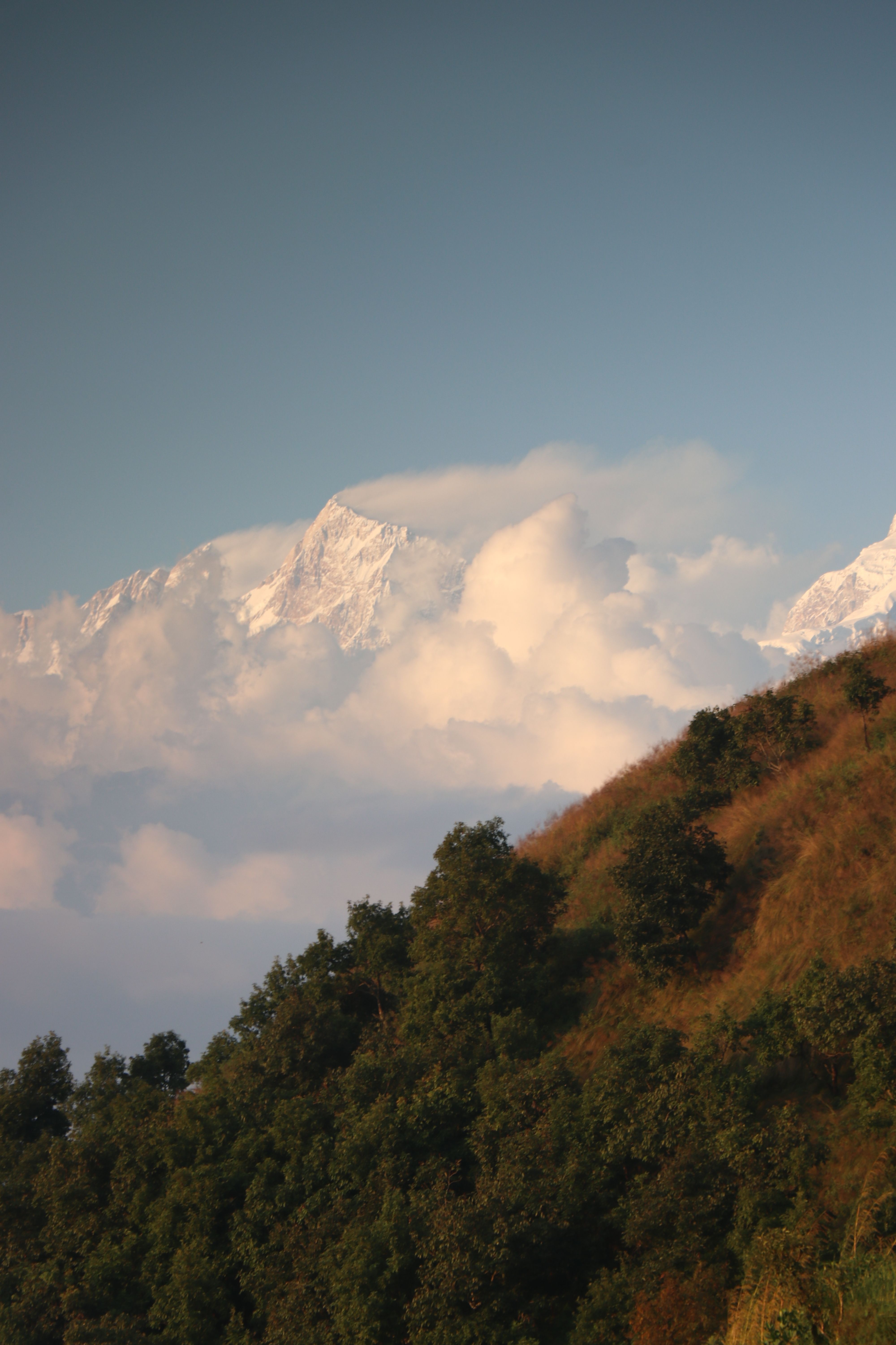 Hill Moina Photos, Download The BEST Free Hill Moina Stock Photos & HD ...