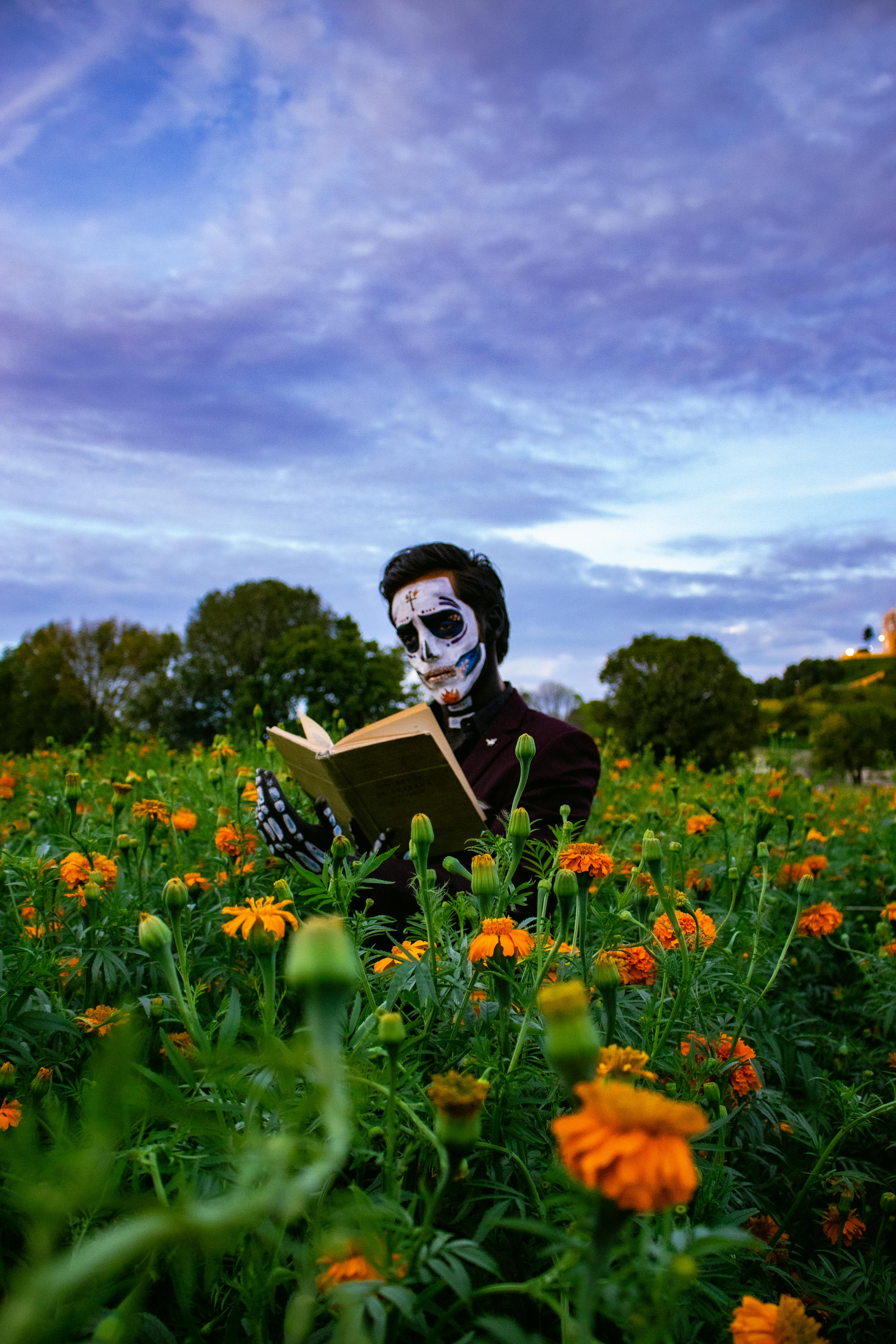 A Catrin in a Flower Field · Free Stock Photo