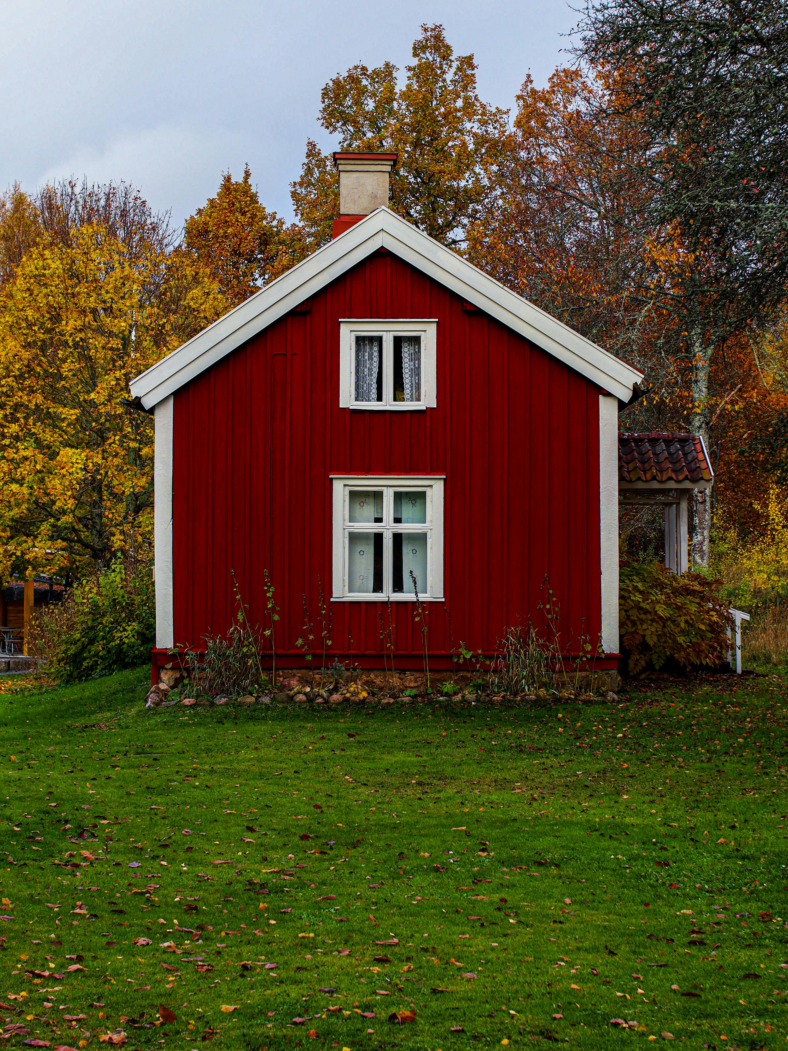 Trees Beside Wooden House · Free Stock Photo