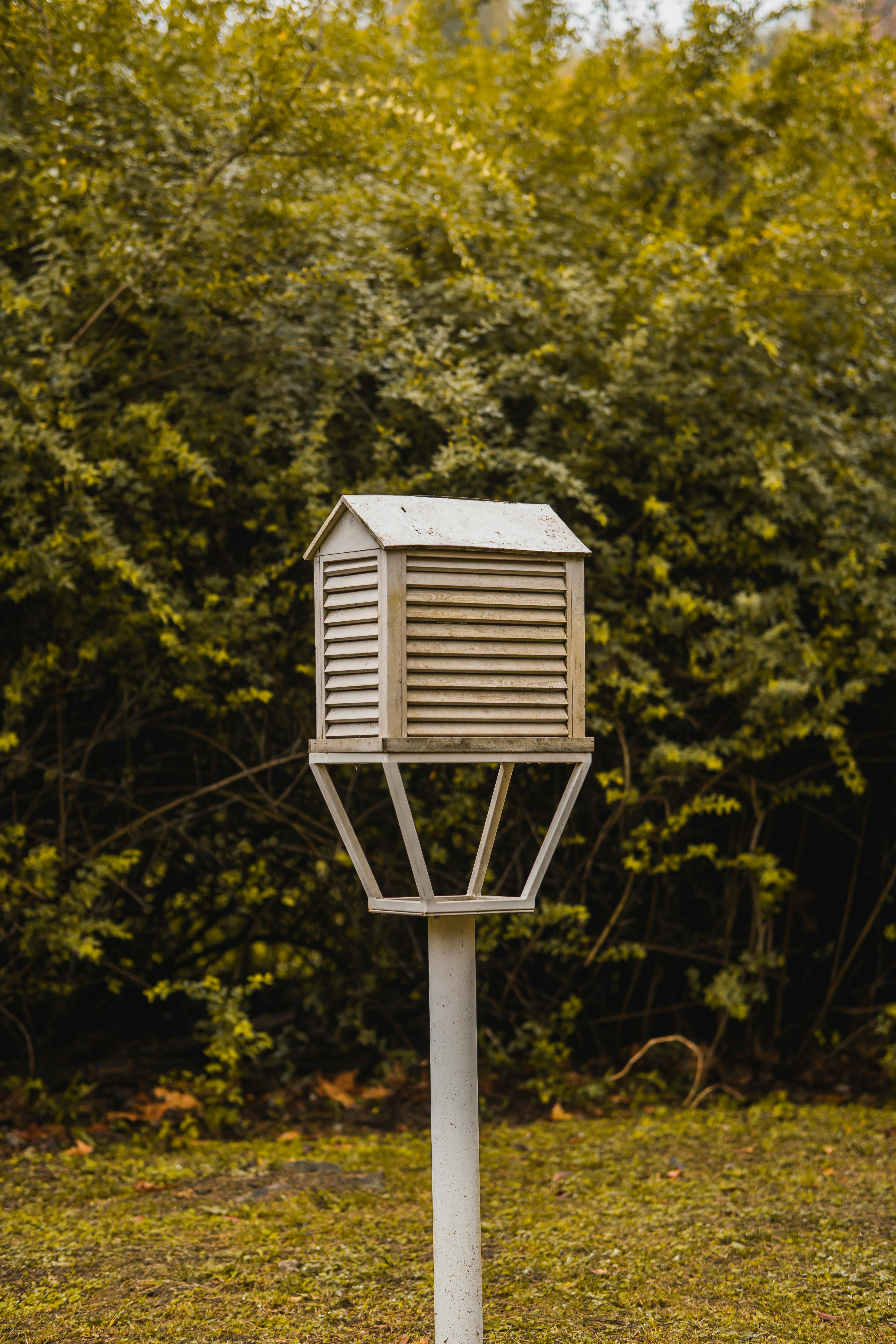 Wooden Construction near Trees · Free Stock Photo