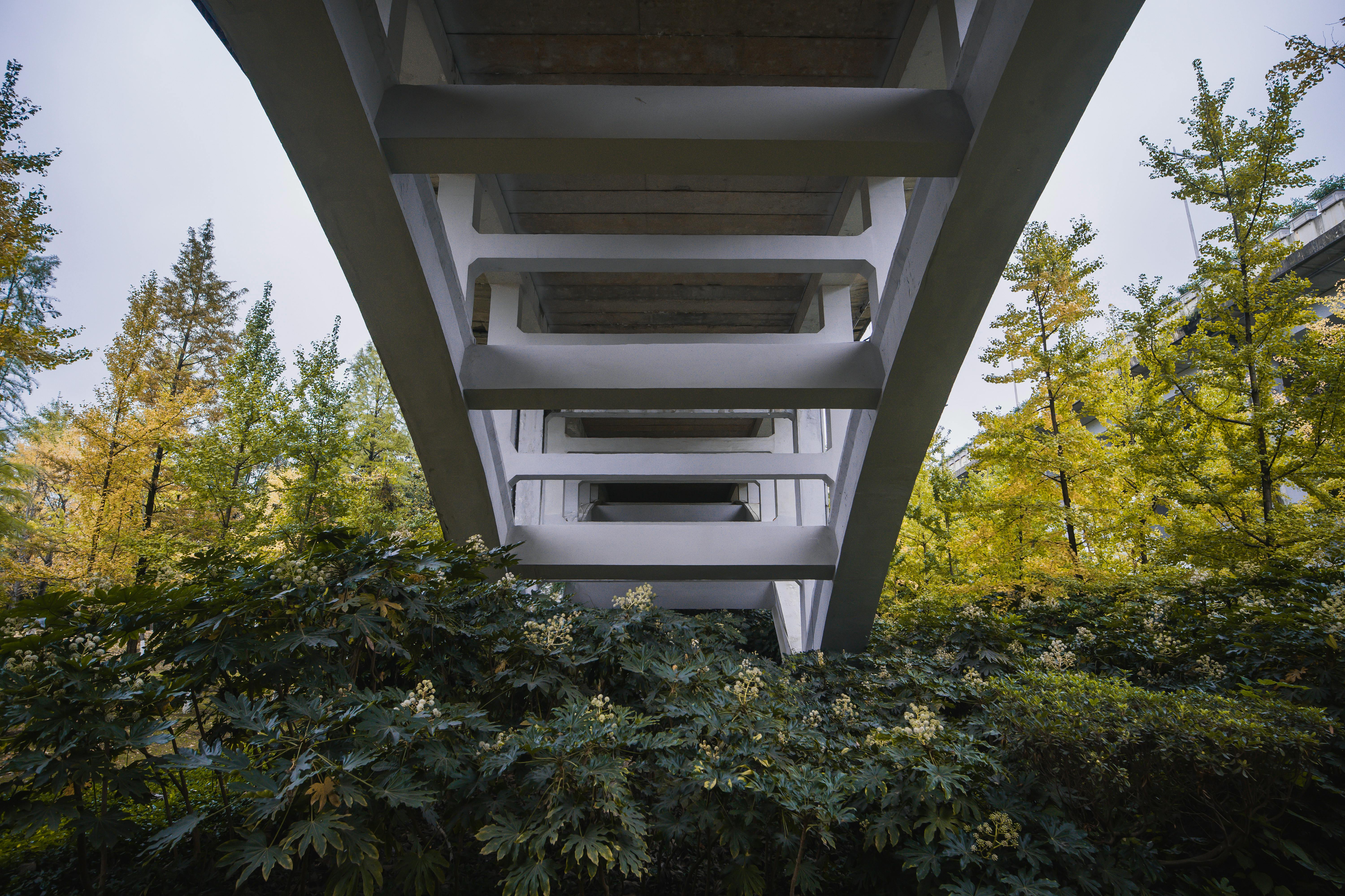 Bridge Bottom Photos, Download The BEST Free Bridge Bottom Stock Photos ...