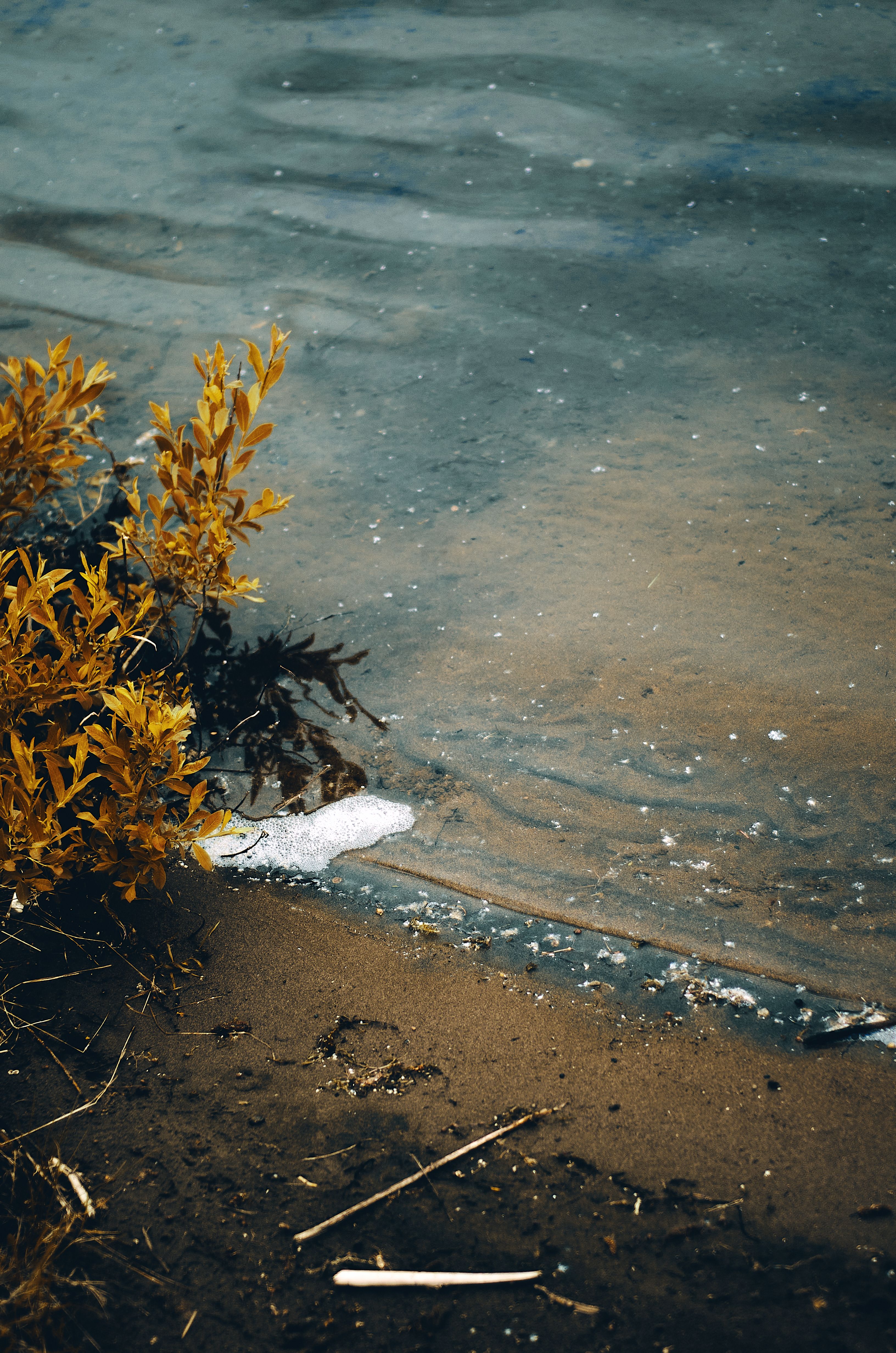 View of a Riverbank · Free Stock Photo