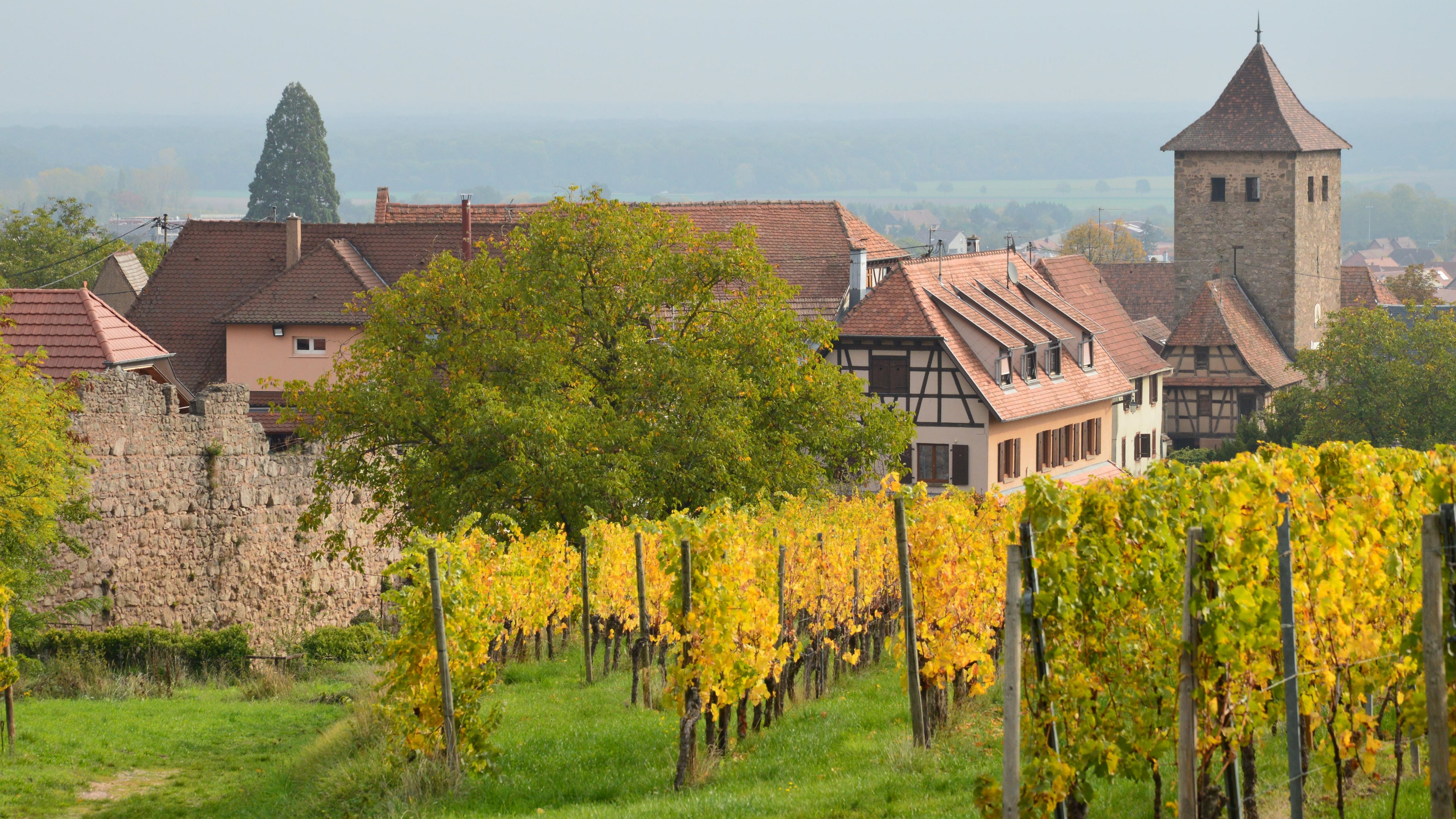 Vineyard Buildings Photos, Download The BEST Free Vineyard Buildings ...