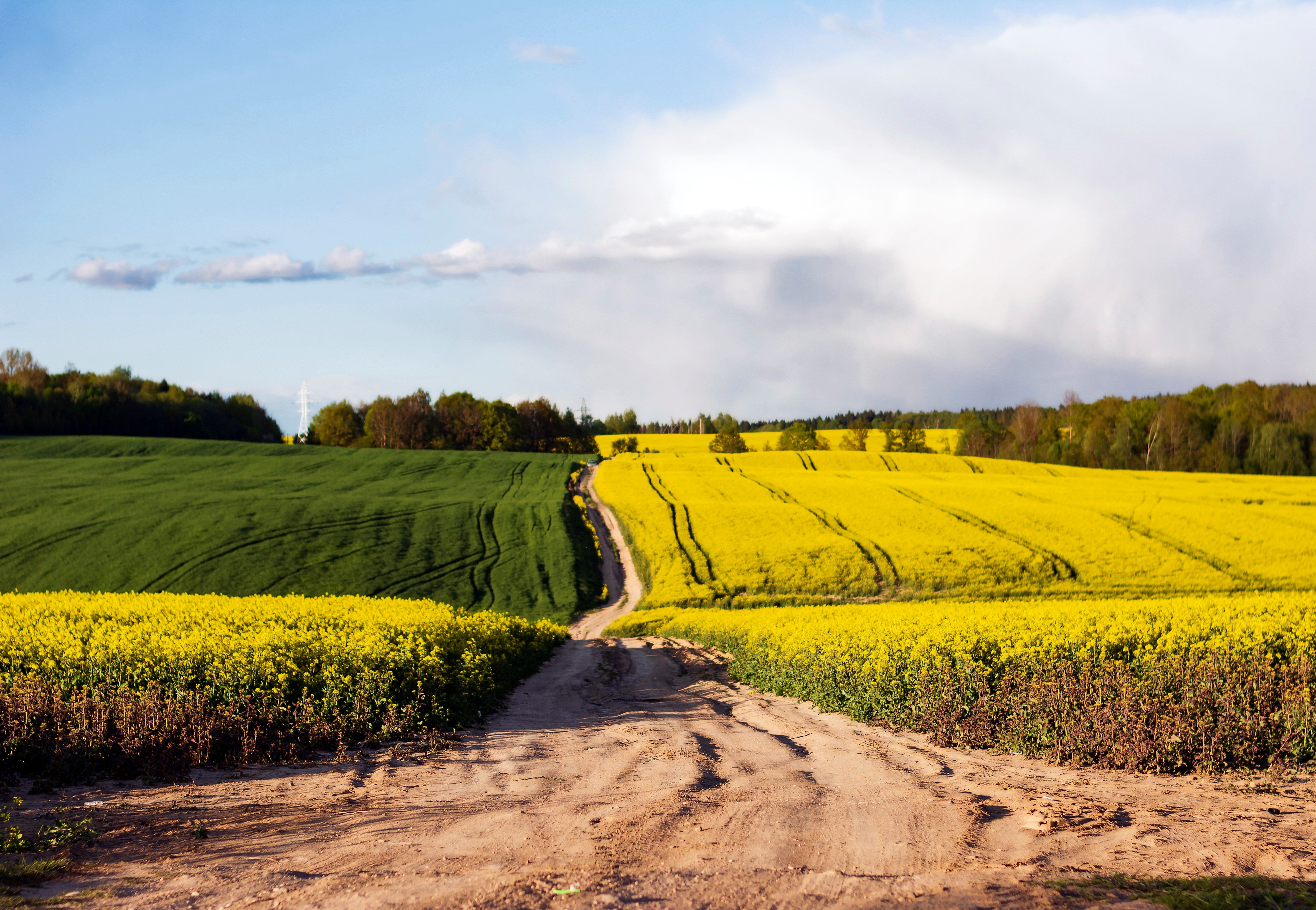Fields and a Countryside Road · Free Stock Photo