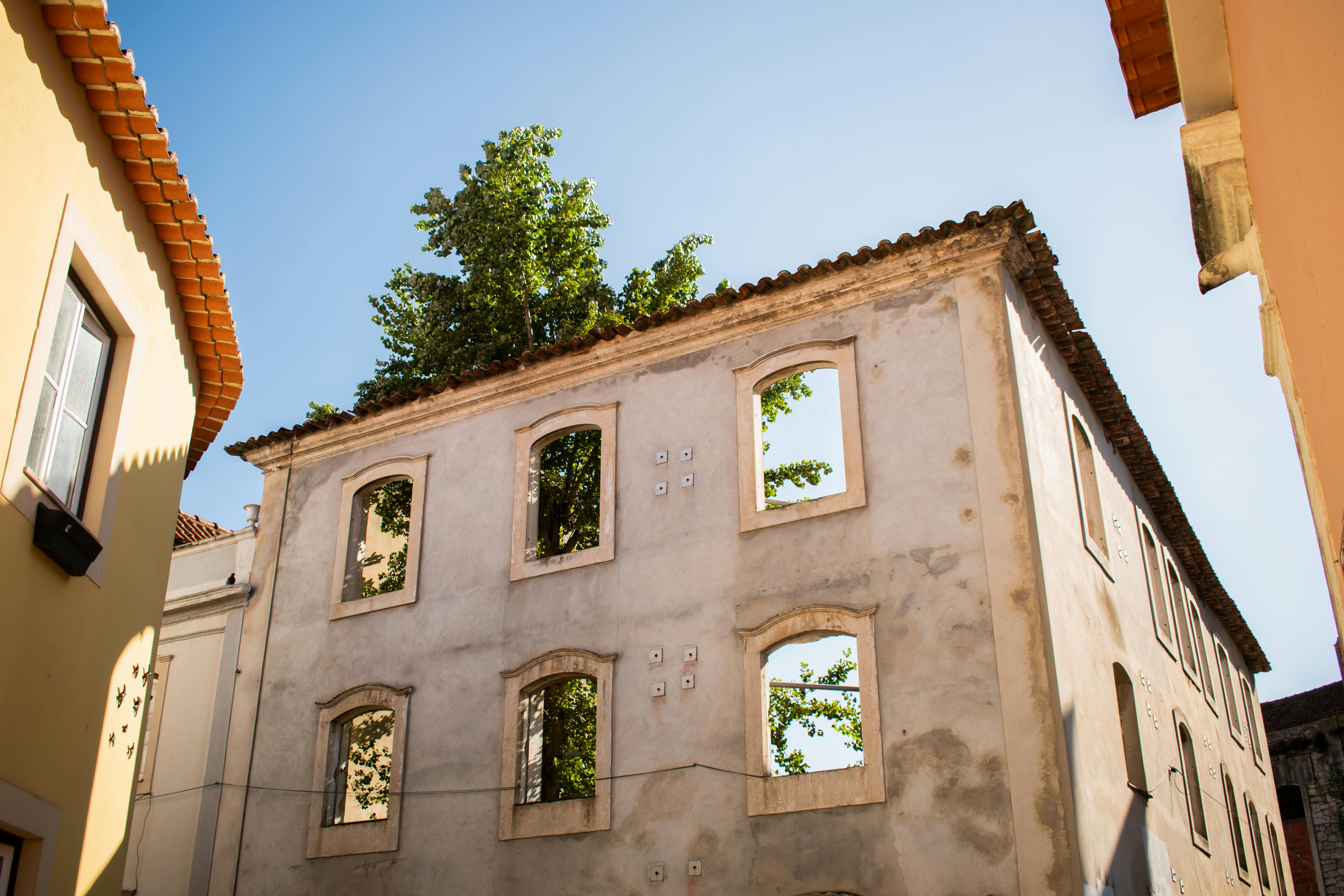 Wall” Photos, Download The BEST Free Wall” Stock Photos & HD Images