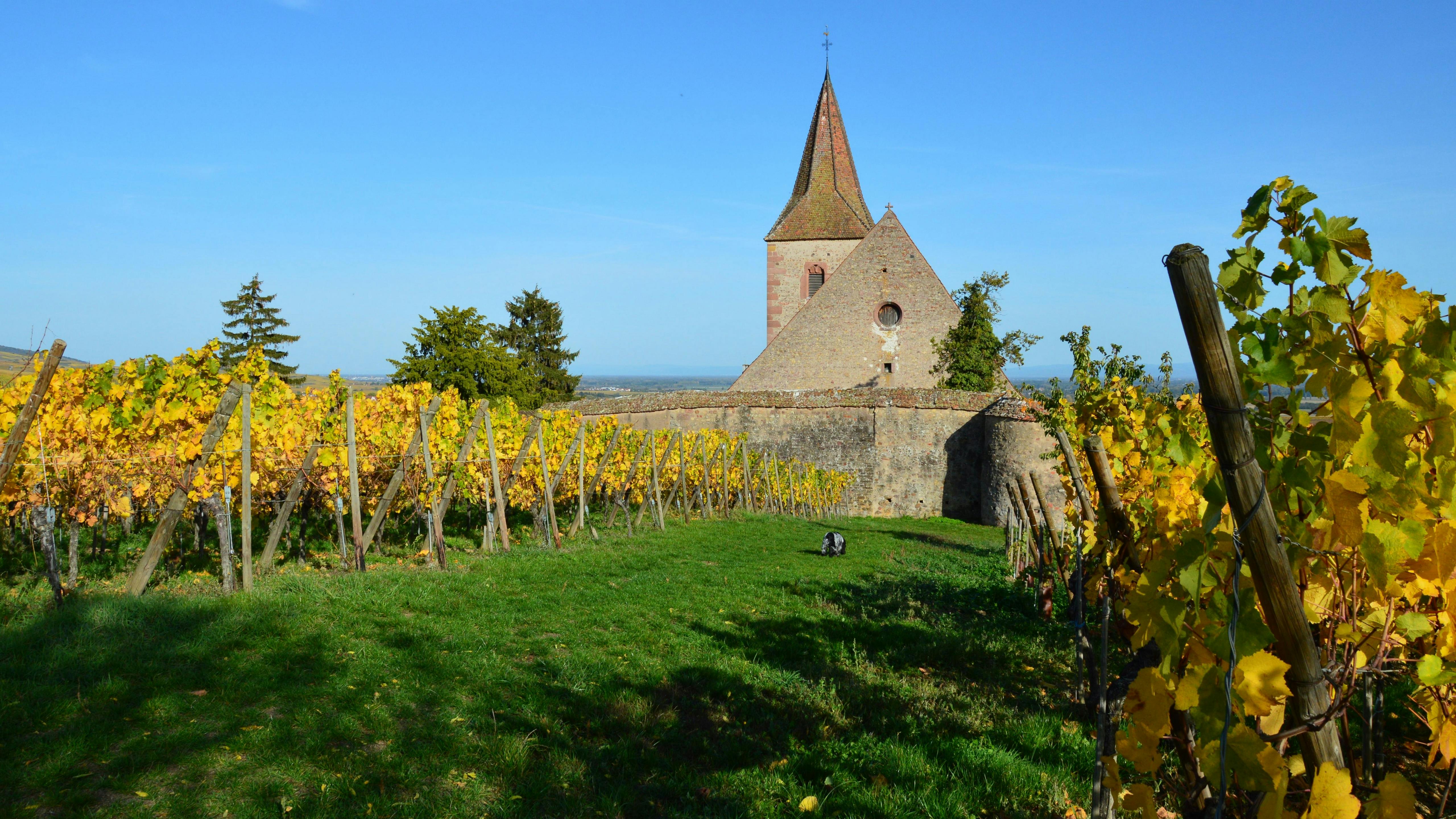 Catholic Wallpaper Photos, Download The BEST Free Catholic Wallpaper ...