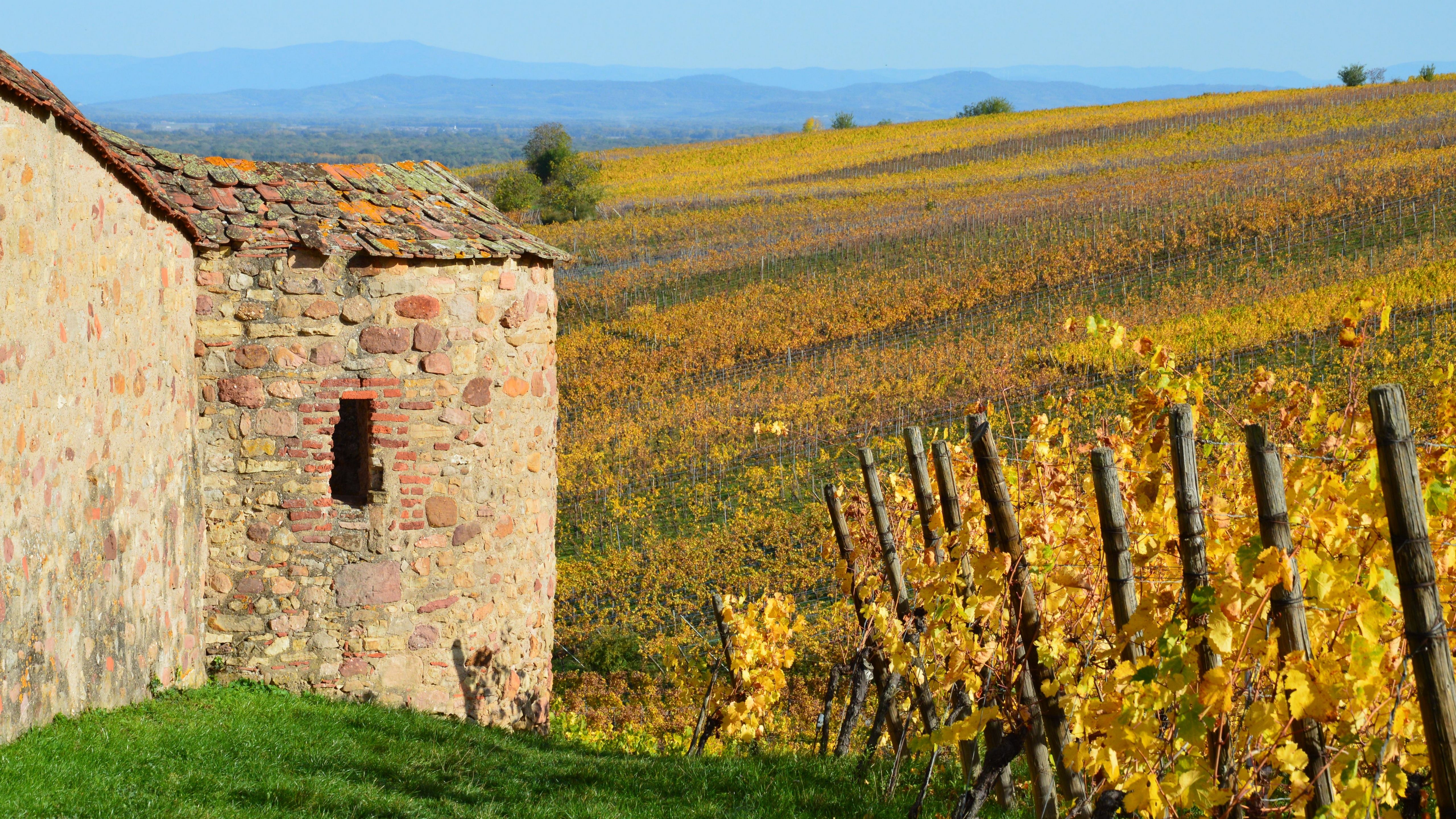 Stone Building in the Vineyard · Free Stock Photo