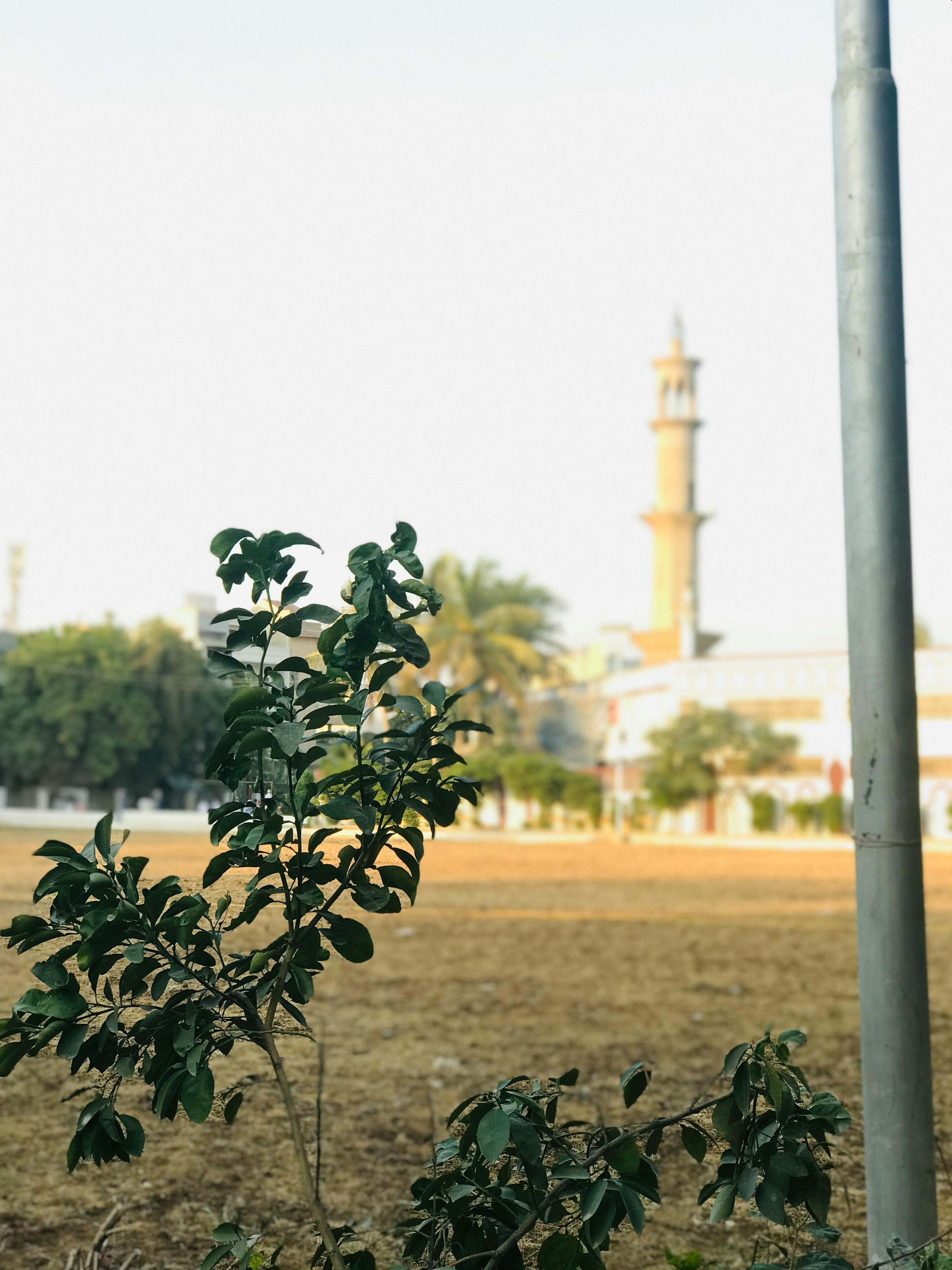 Muhammad Zain - Fotografía