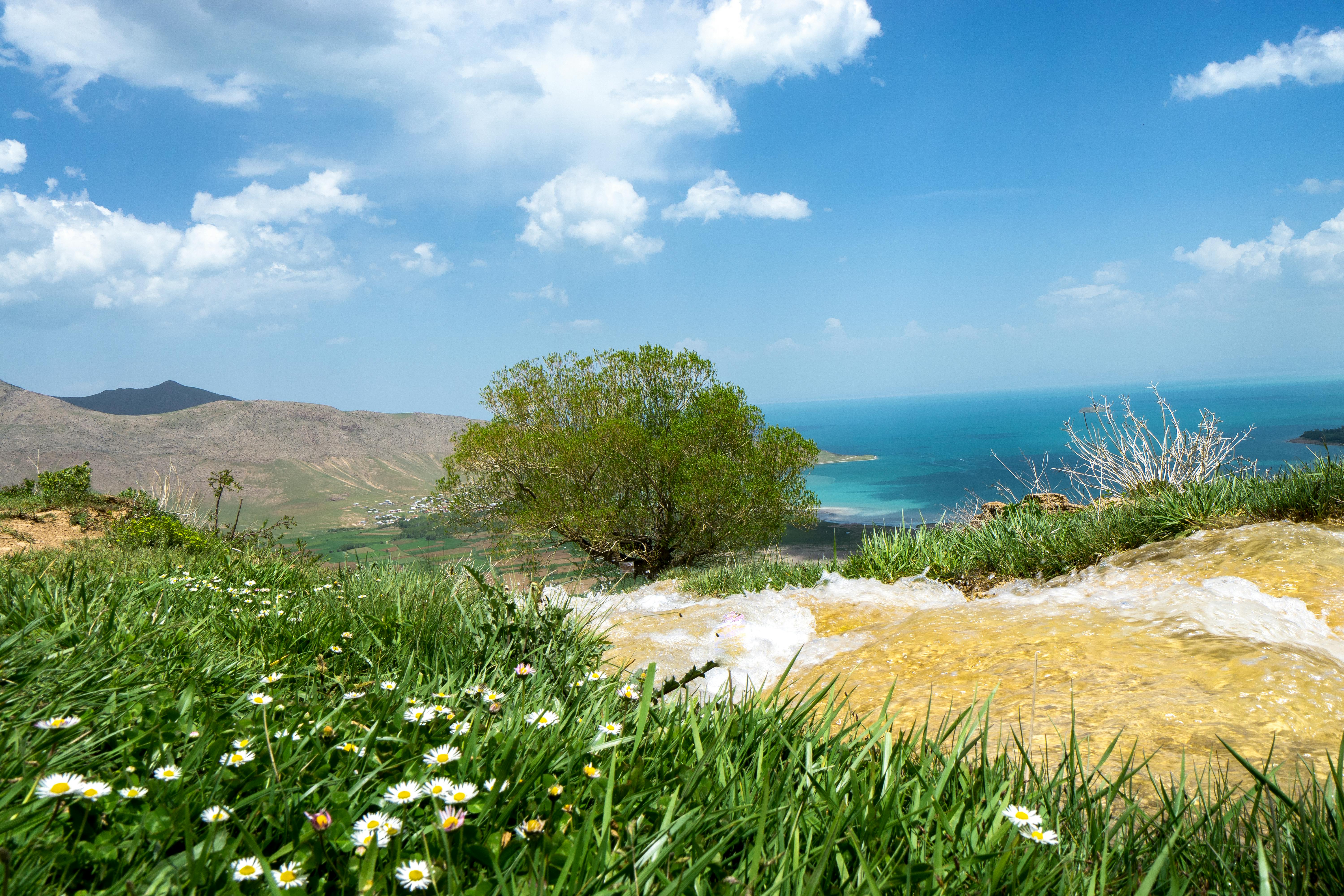 Stream Flowing towards Sea · Free Stock Photo