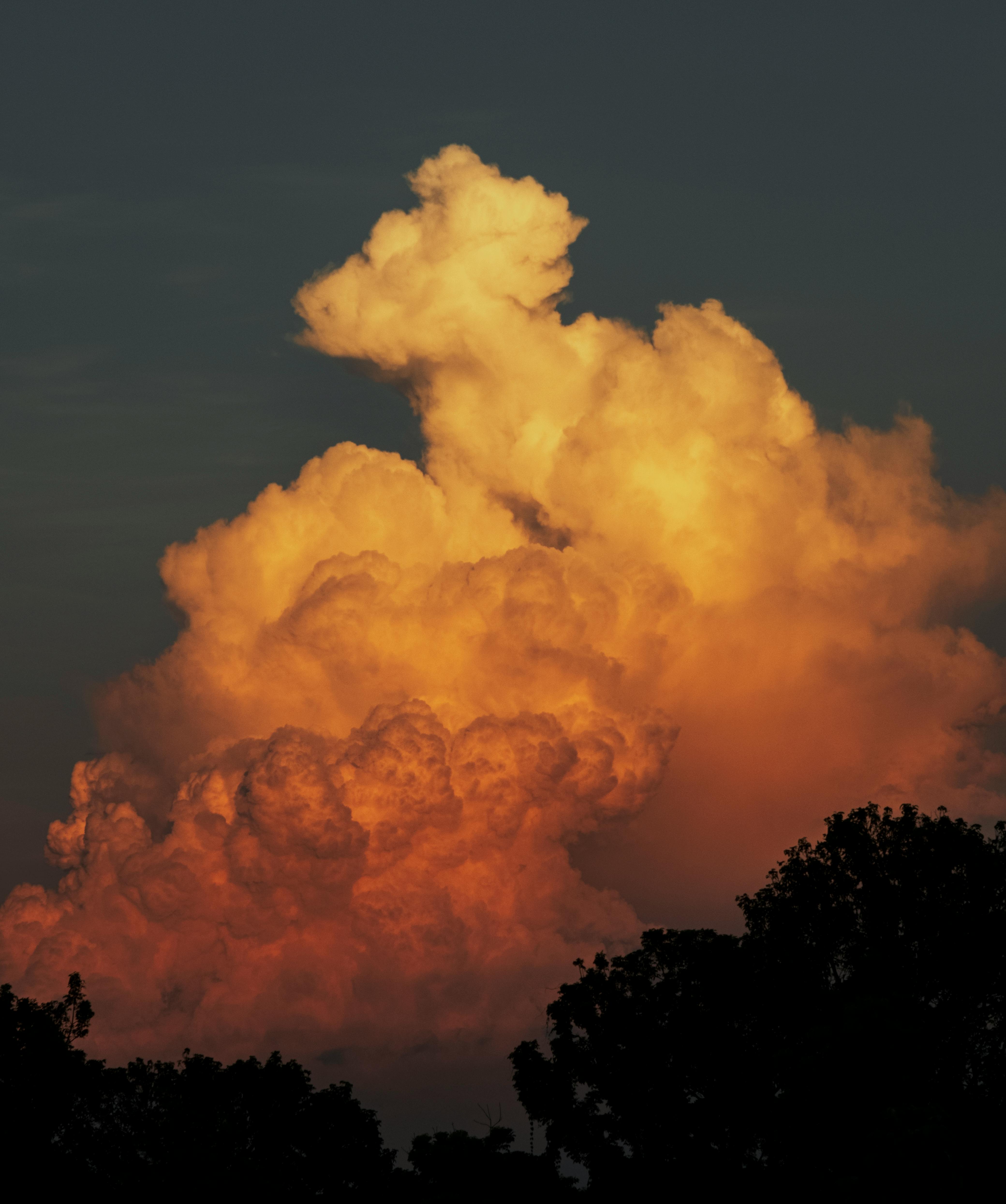 Twilight Clouds in the Sky · Free Stock Photo