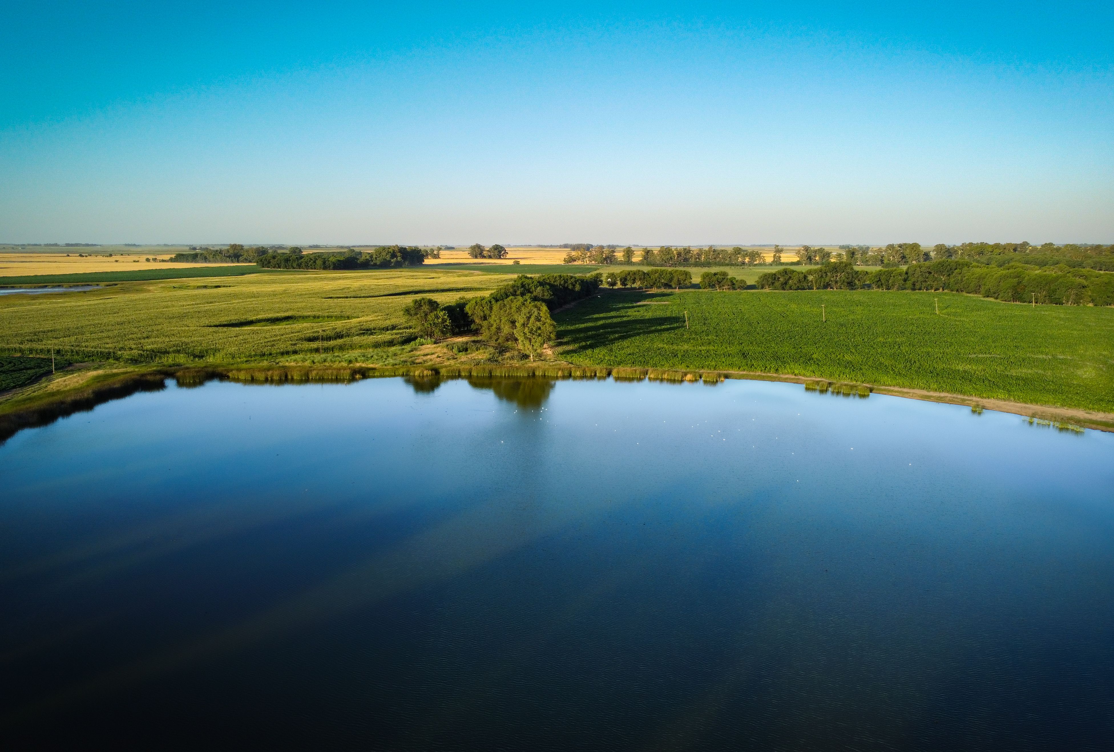 Lake in Countryside · Free Stock Photo