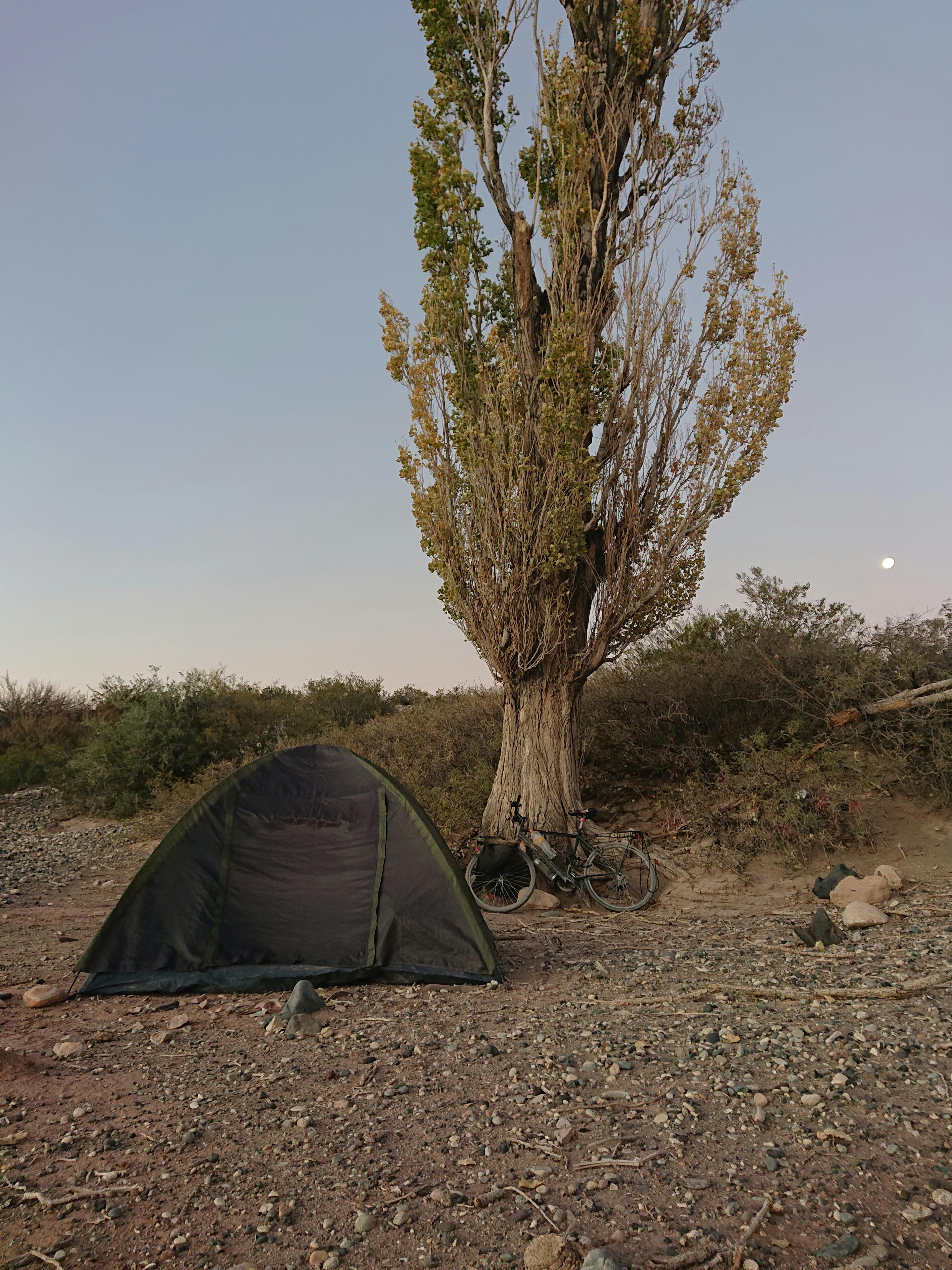 A Black Tent Near the Tree · Free Stock Photo
