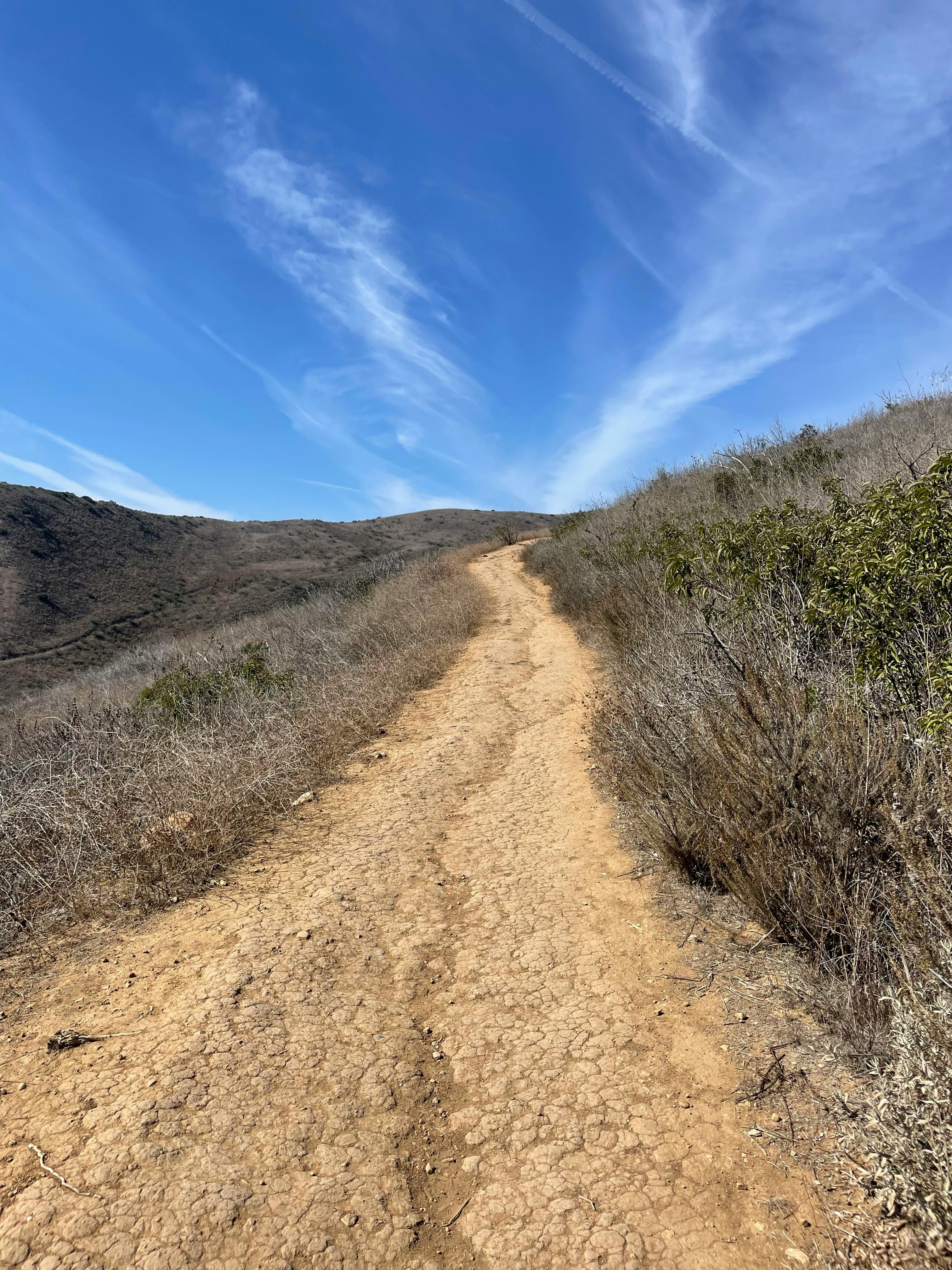 Brown Dirt Road Between Dried Grass · Free Stock Photo