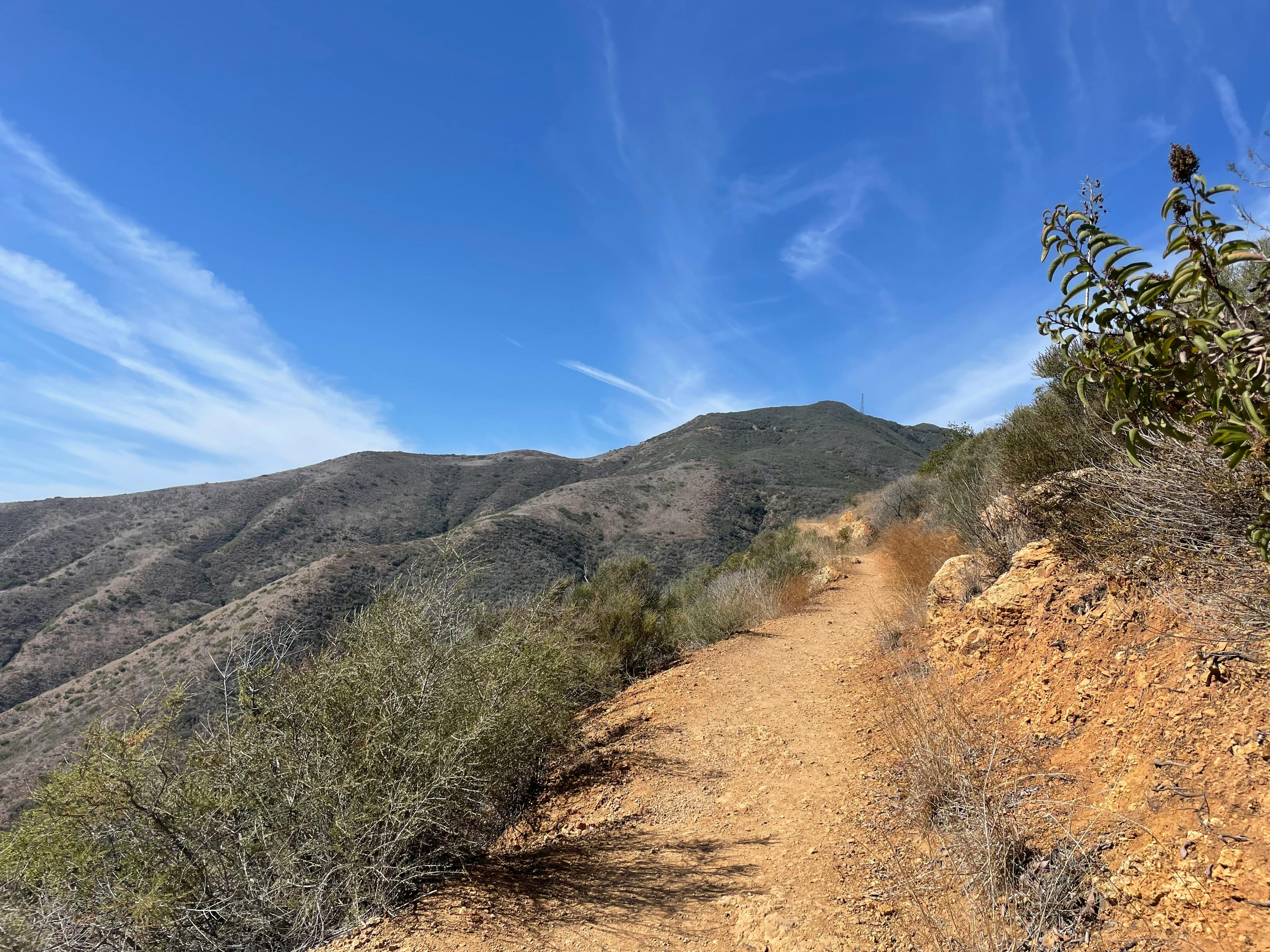 Dirt Road on Hill · Free Stock Photo