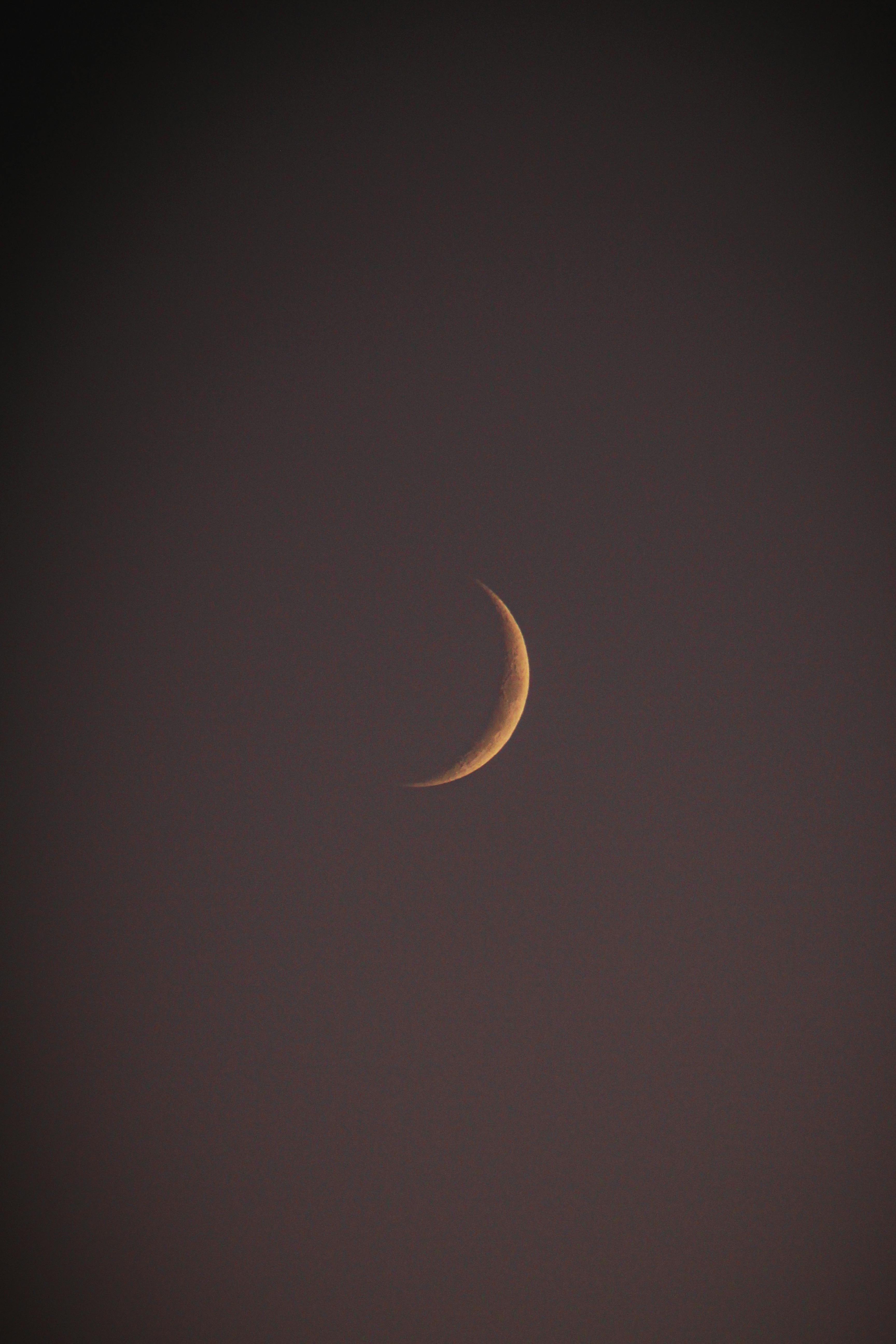Crescent Moon in the Dark Sky · Free Stock Photo