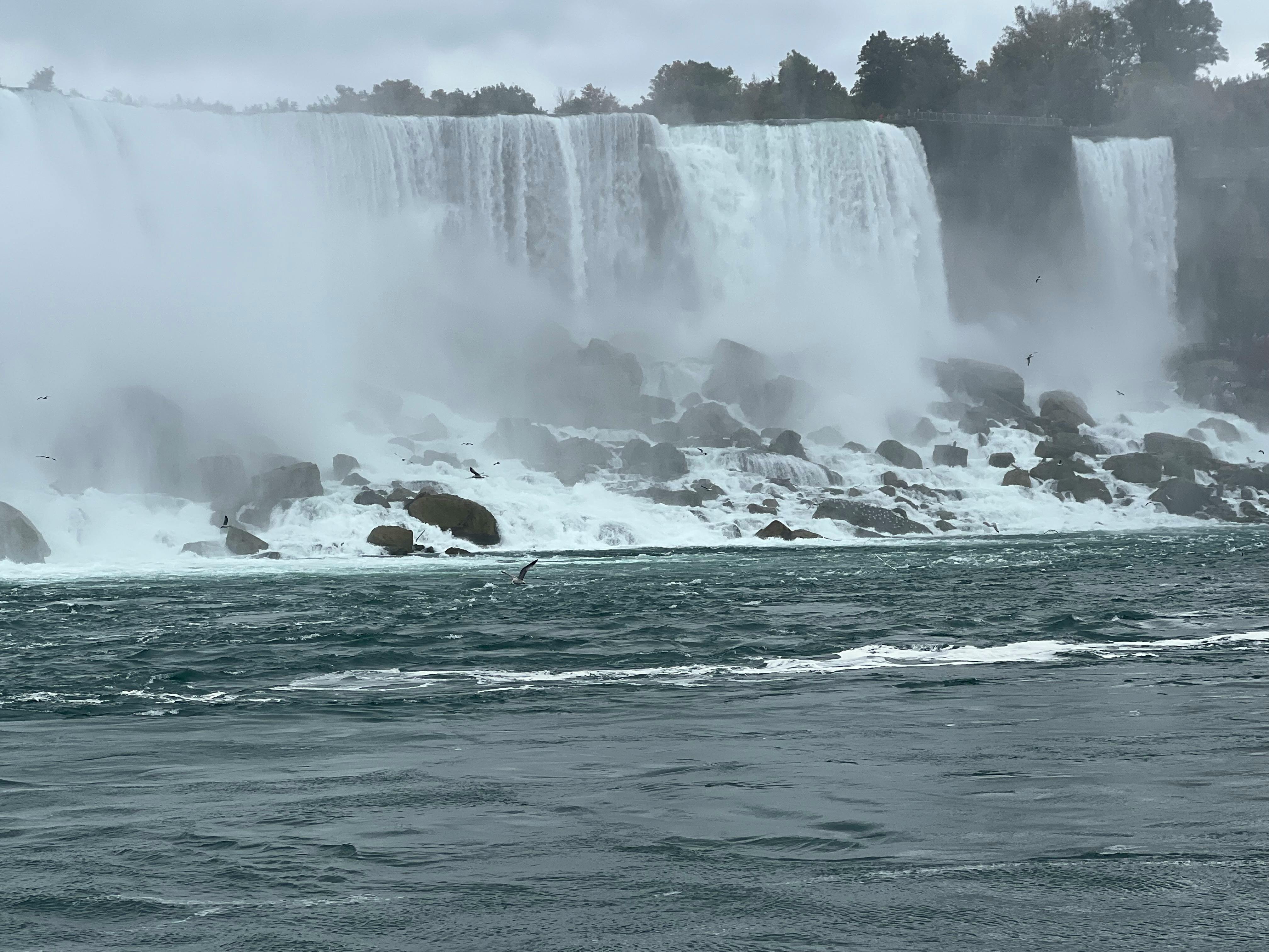 Nisarg Dave - Photography