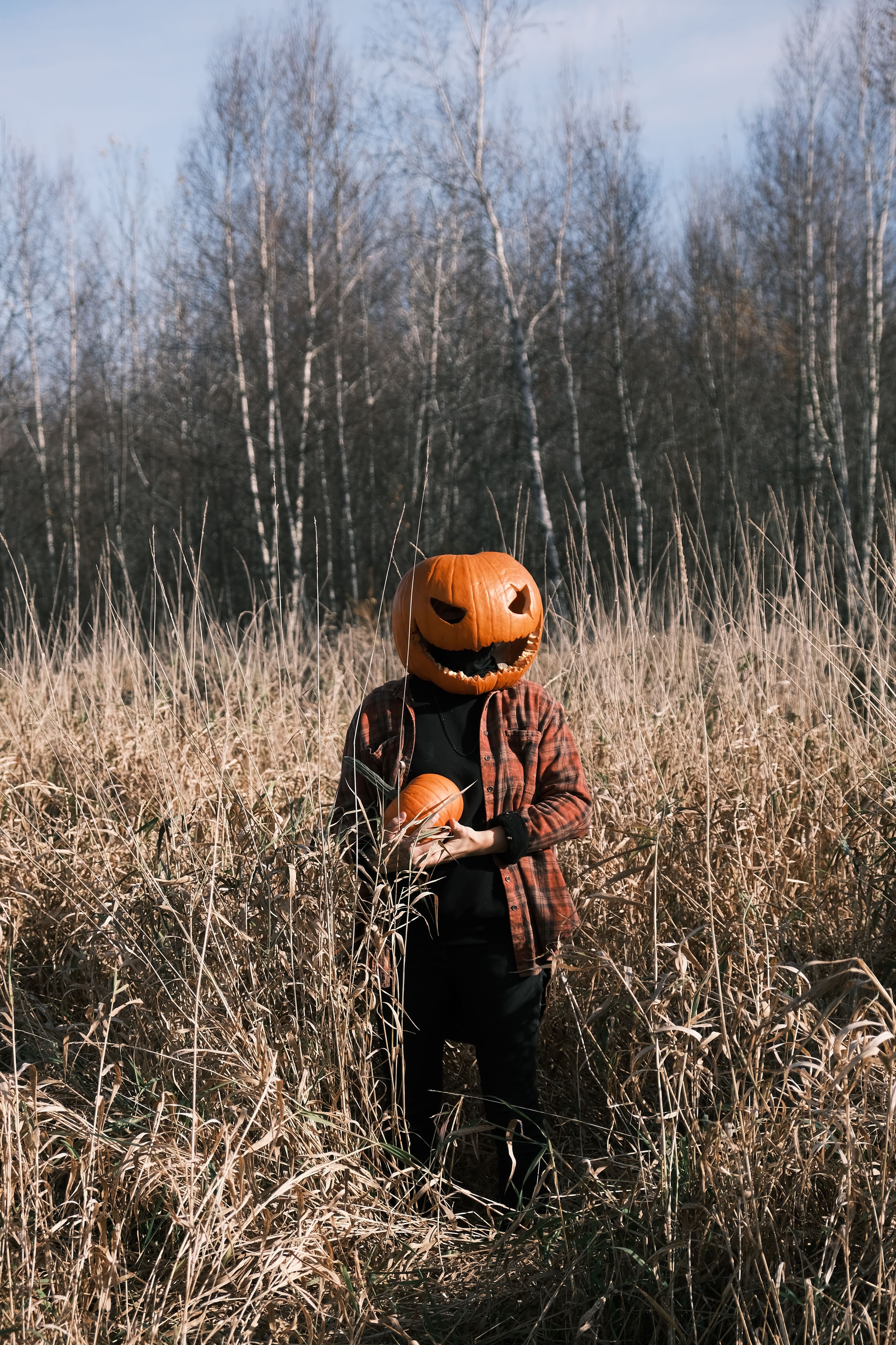 Person in Grass Field Wearing Scary Pumpkin Head Mask · Free Stock Photo