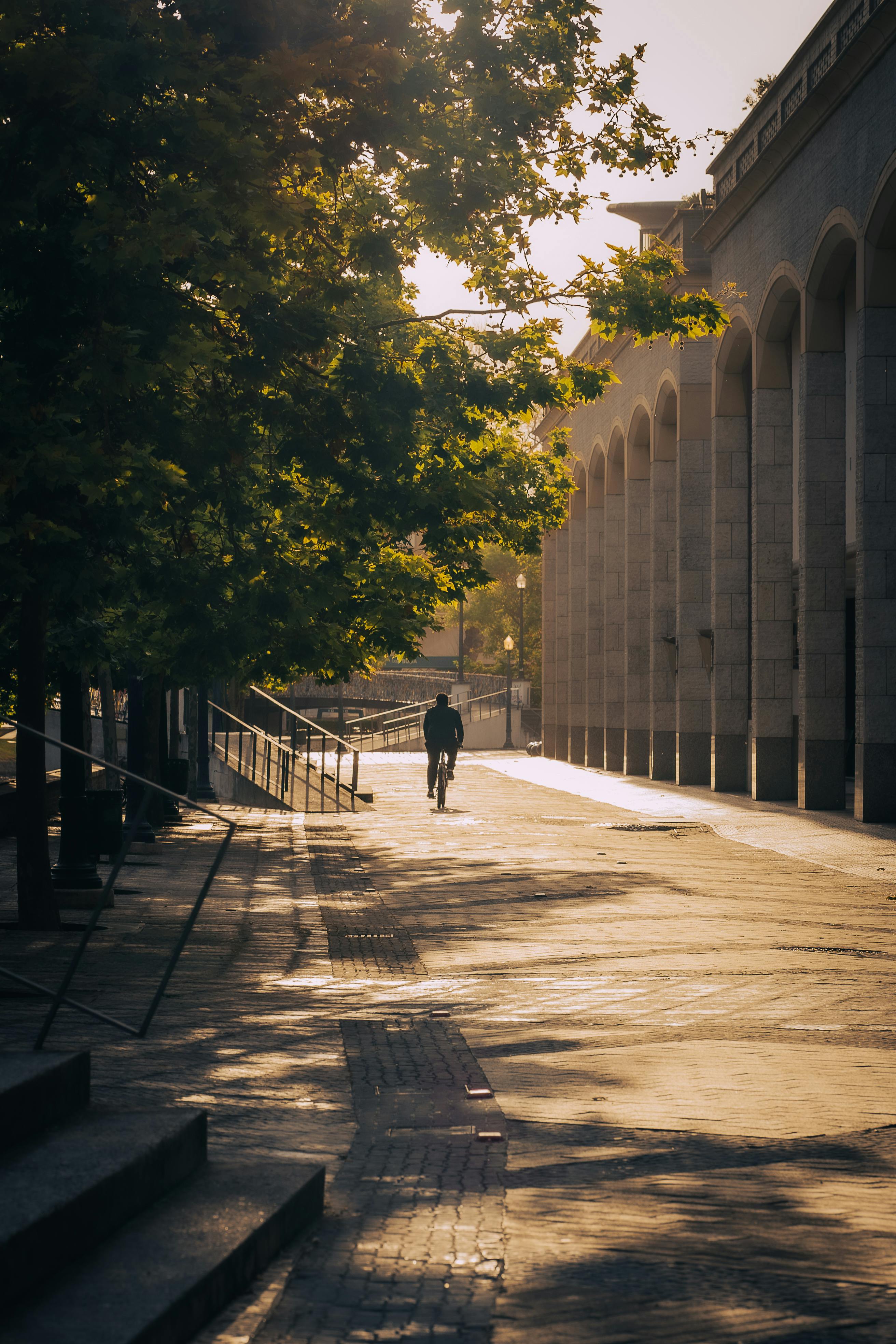 Street among Palm Trees in Summer · Free Stock Photo