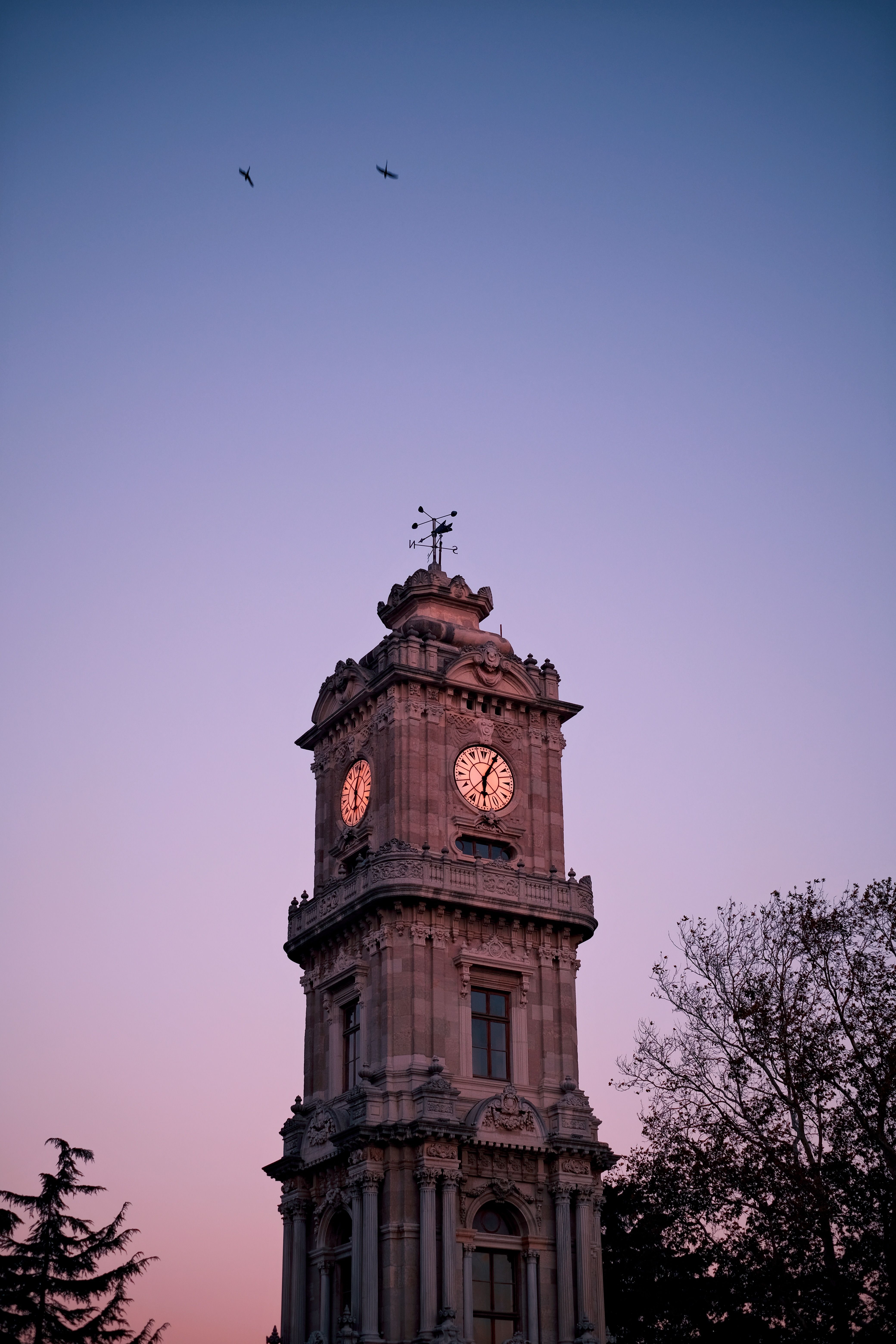 Clock Tower near Green Trees · Free Stock Photo
