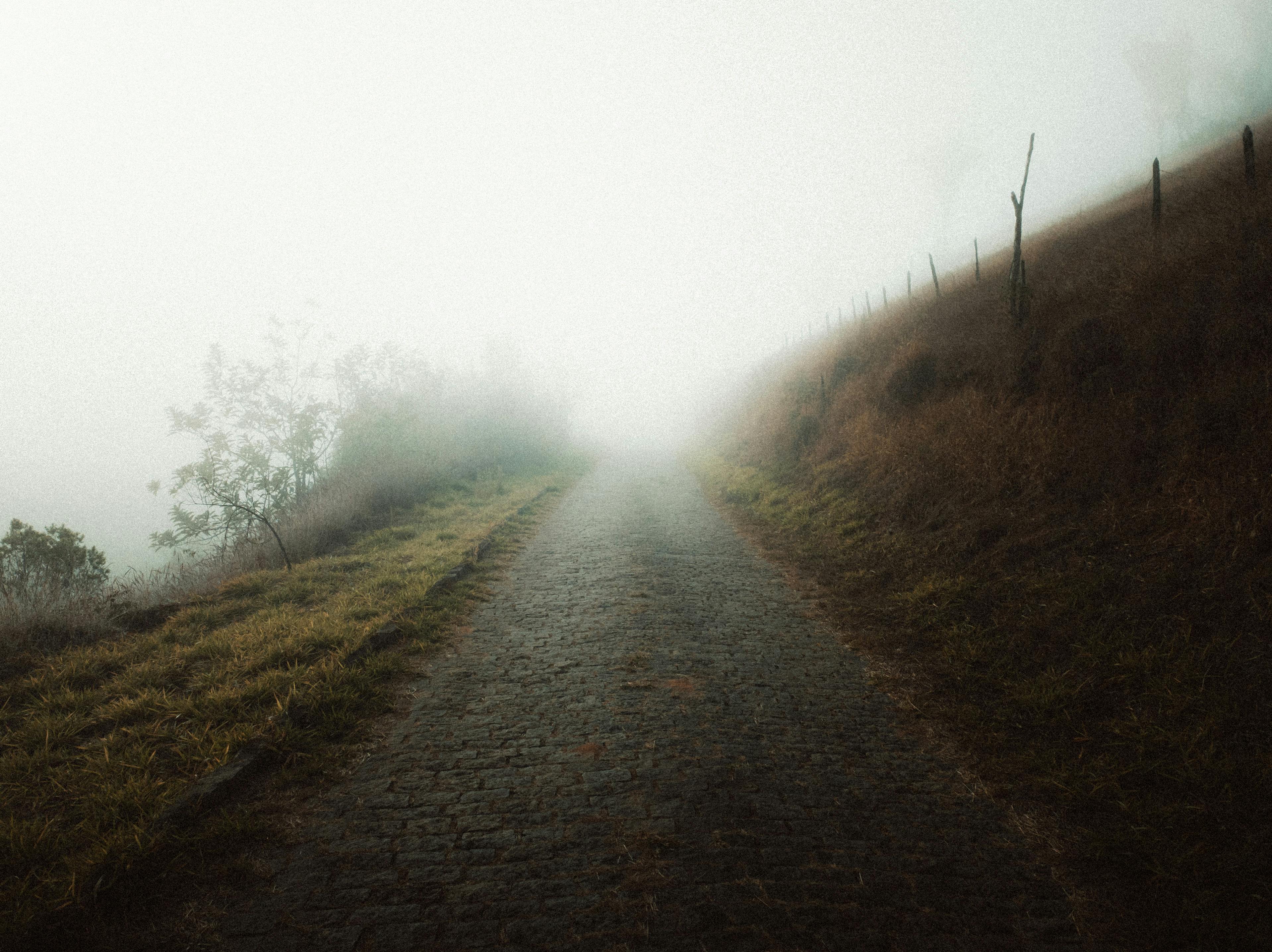 Foggy Pathway · Free Stock Photo