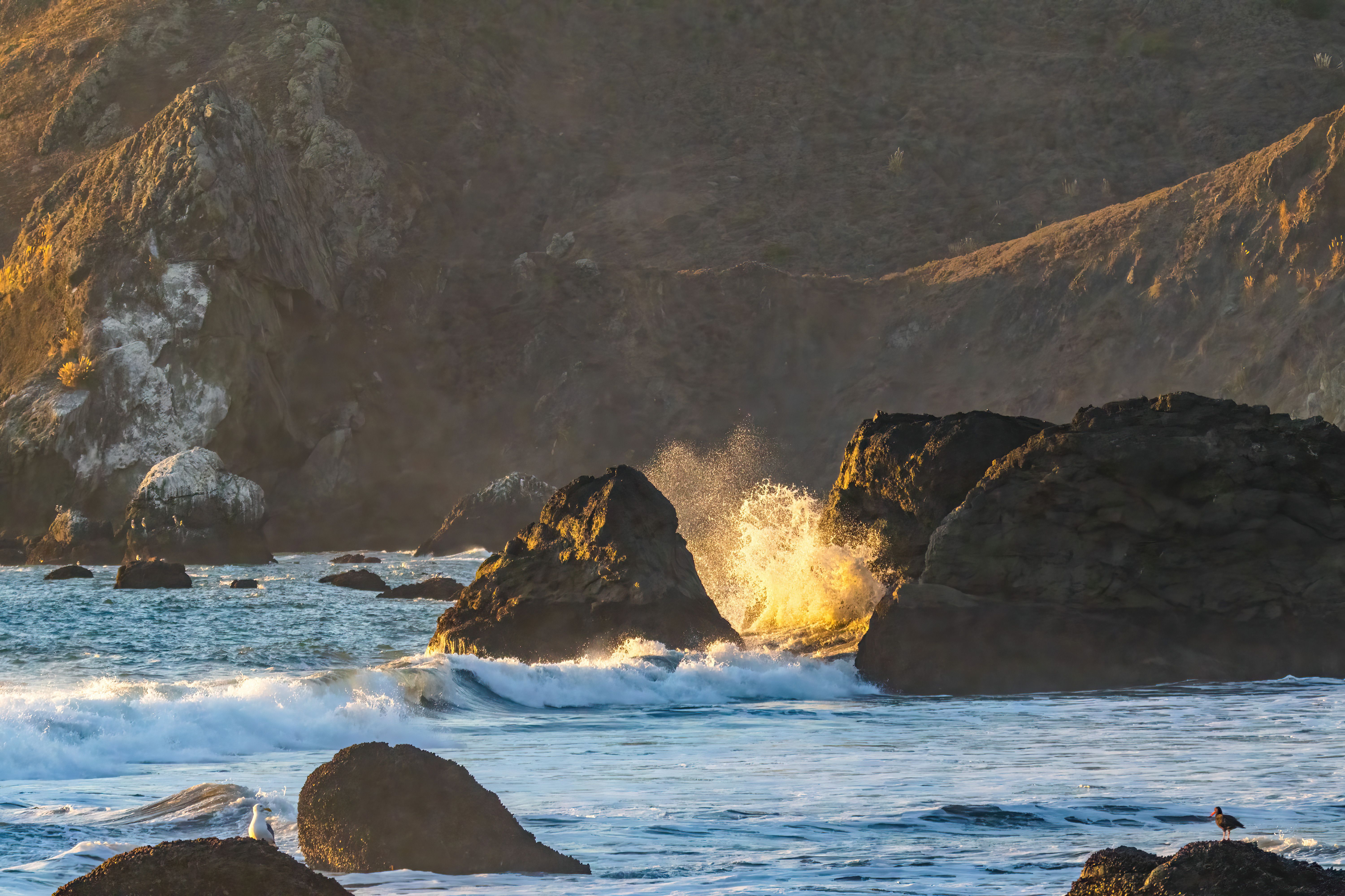 Waves Crushing on Coastline · Free Stock Photo