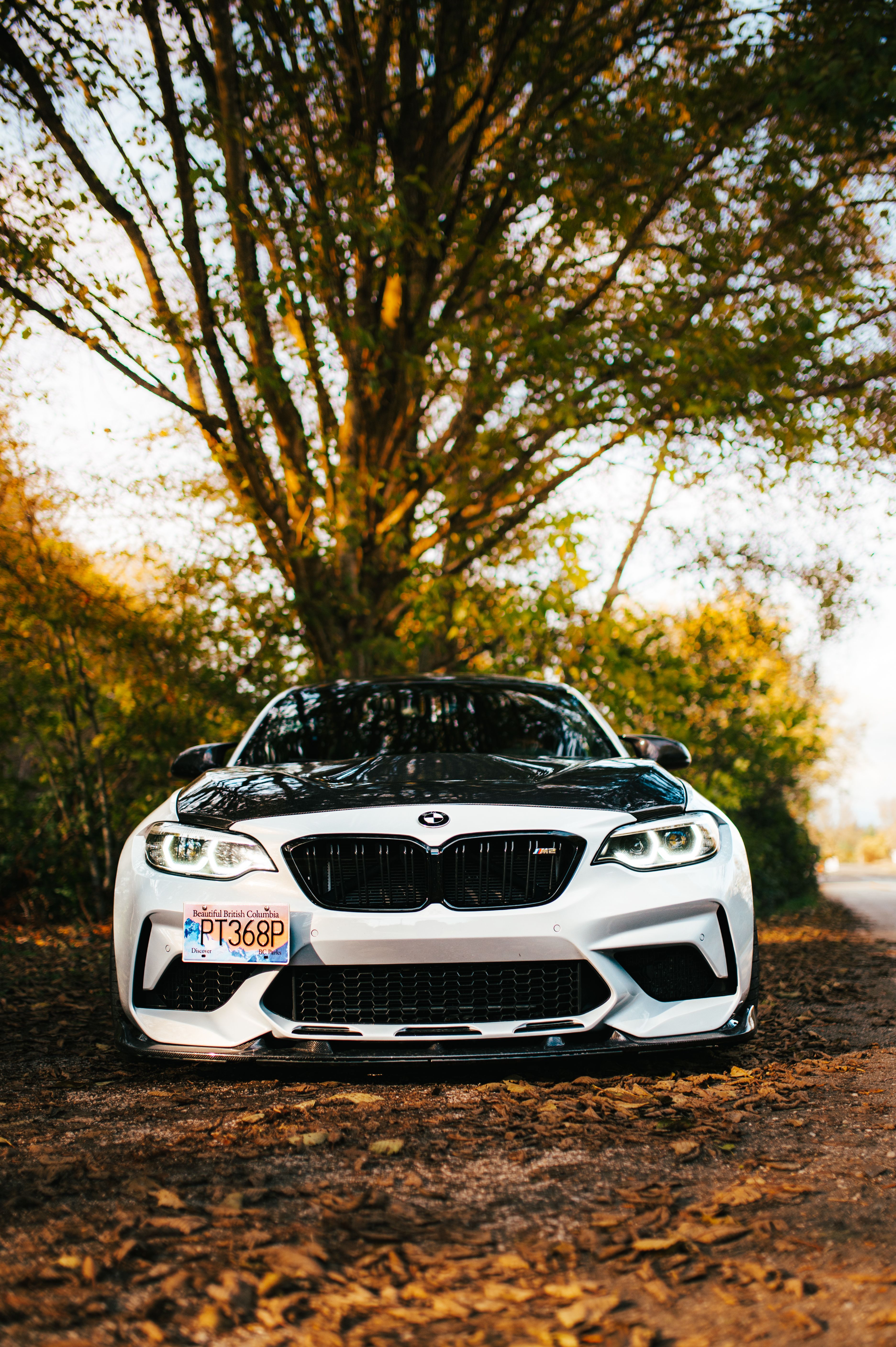 White Bmw M 3 Coupe · Free Stock Photo