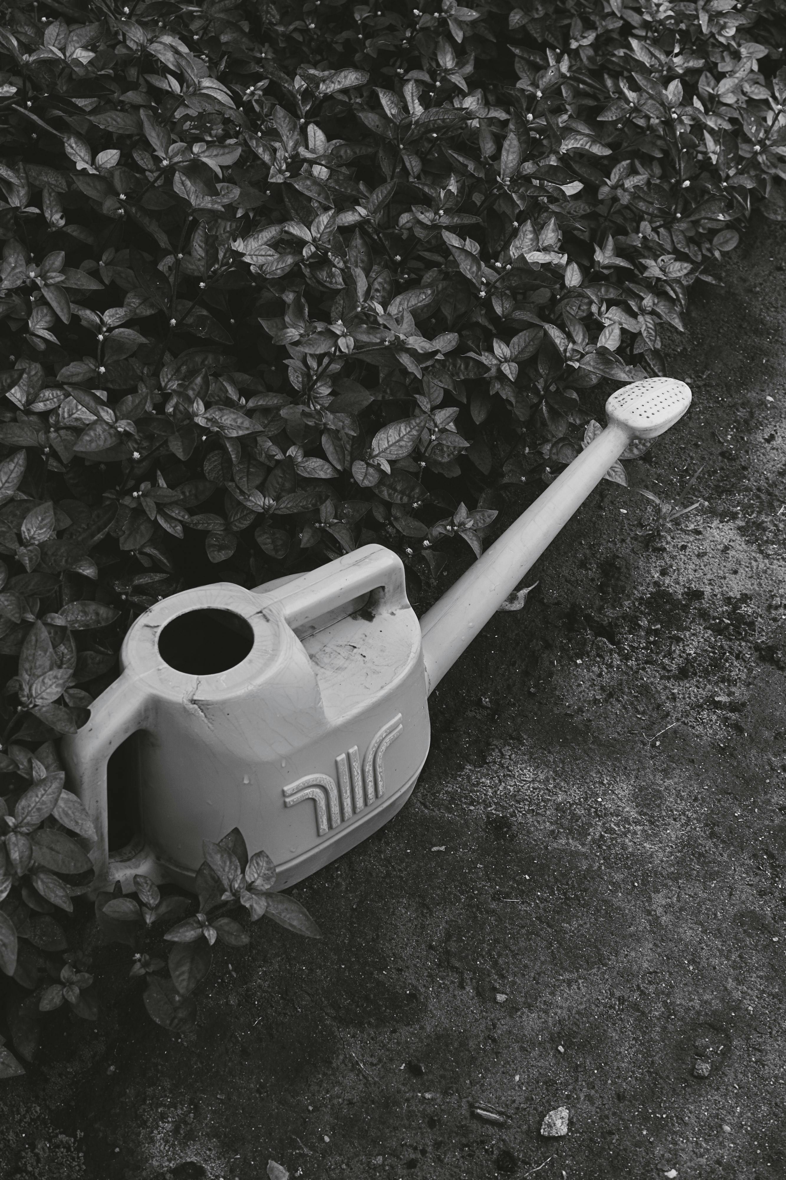 Person Holding Stainless Watering Can · Free Stock Photo