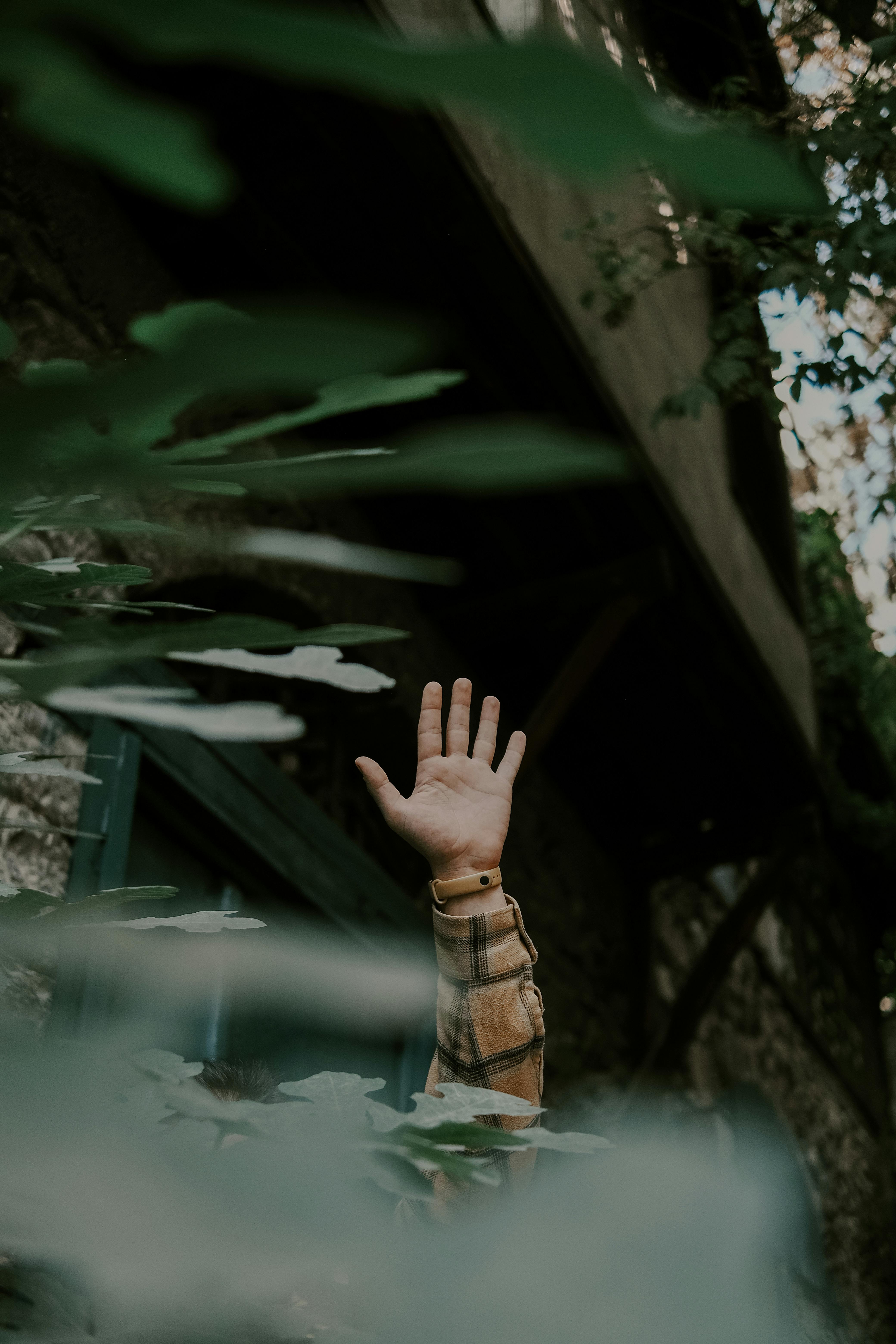 Animated Hand Waving Photos, Download The BEST Free Animated Hand ...