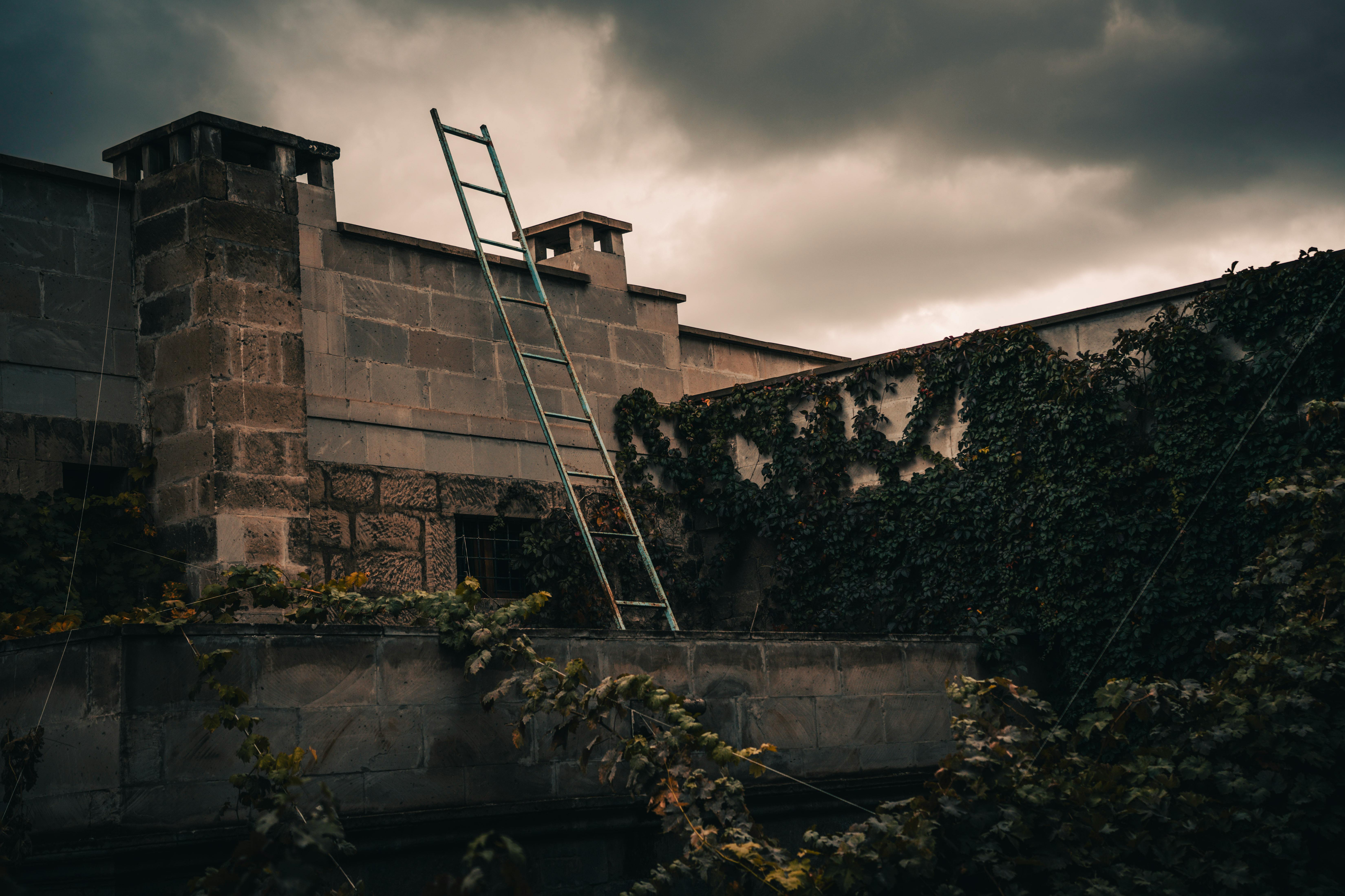 Ladder on Wall in Castle Garden · Free Stock Photo