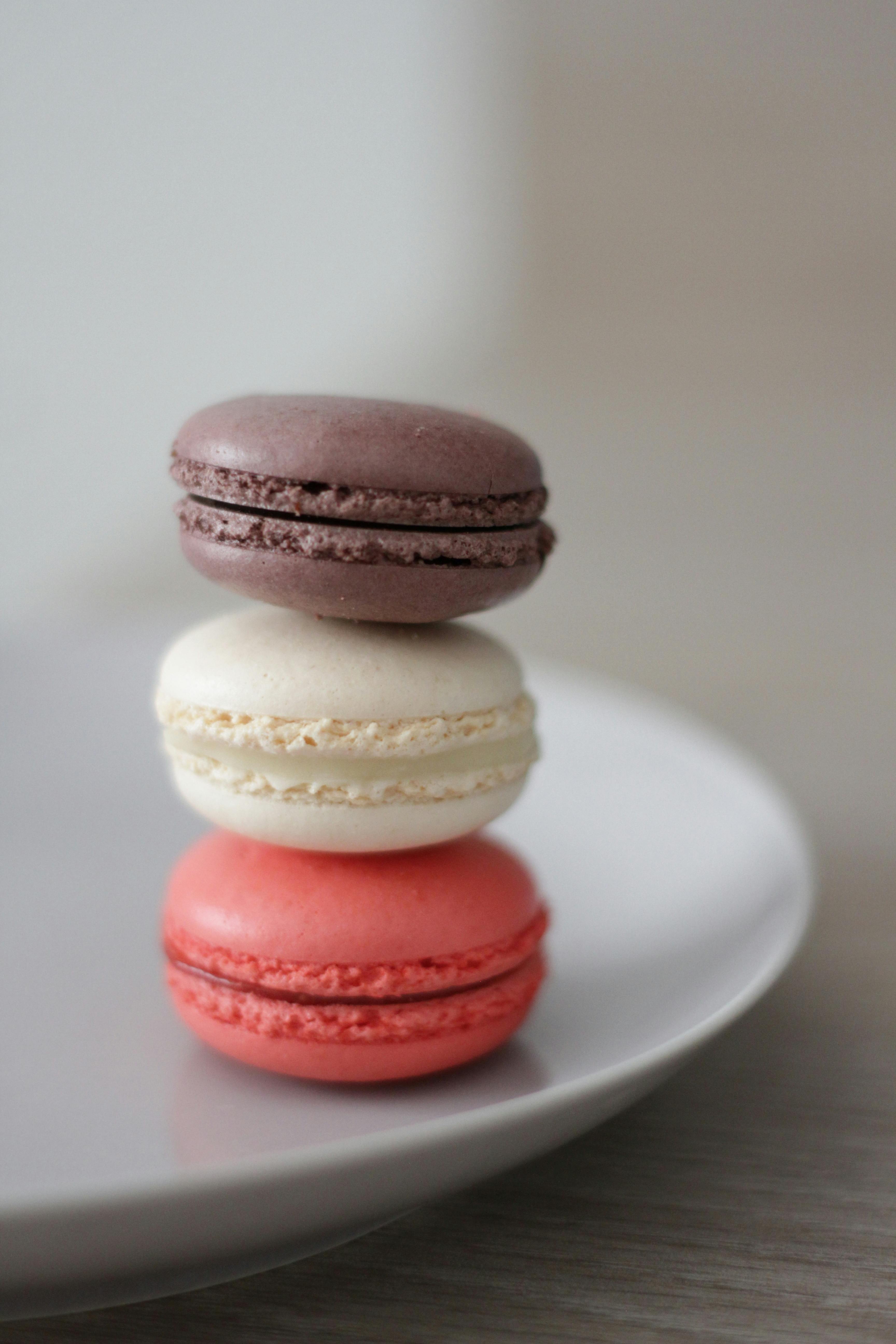 Selective Focus Photo of Three Macaroons · Free Stock Photo