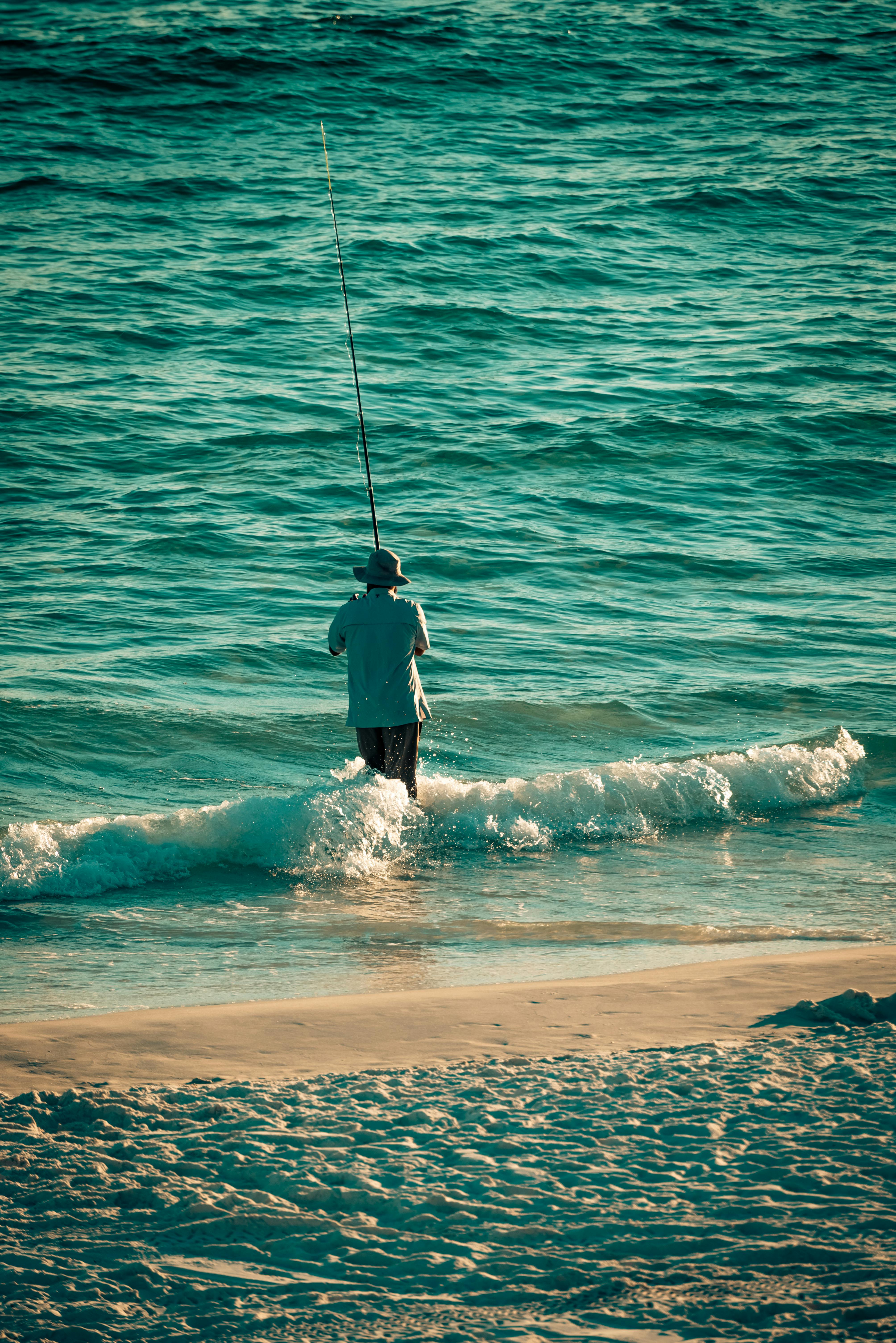 Person Fishing on the Beach · Free Stock Photo