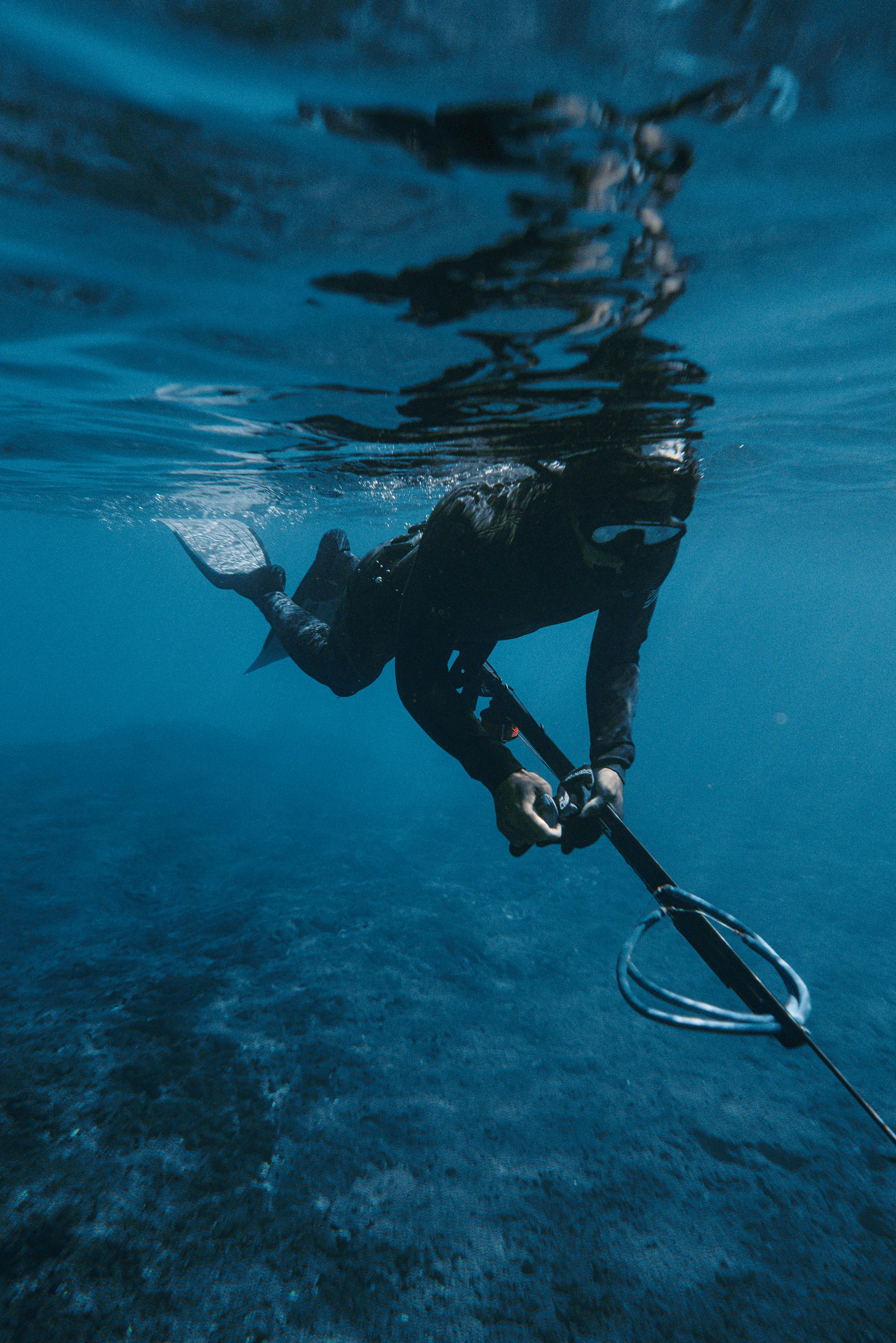 Diver Swimming under Water · Free Stock Photo