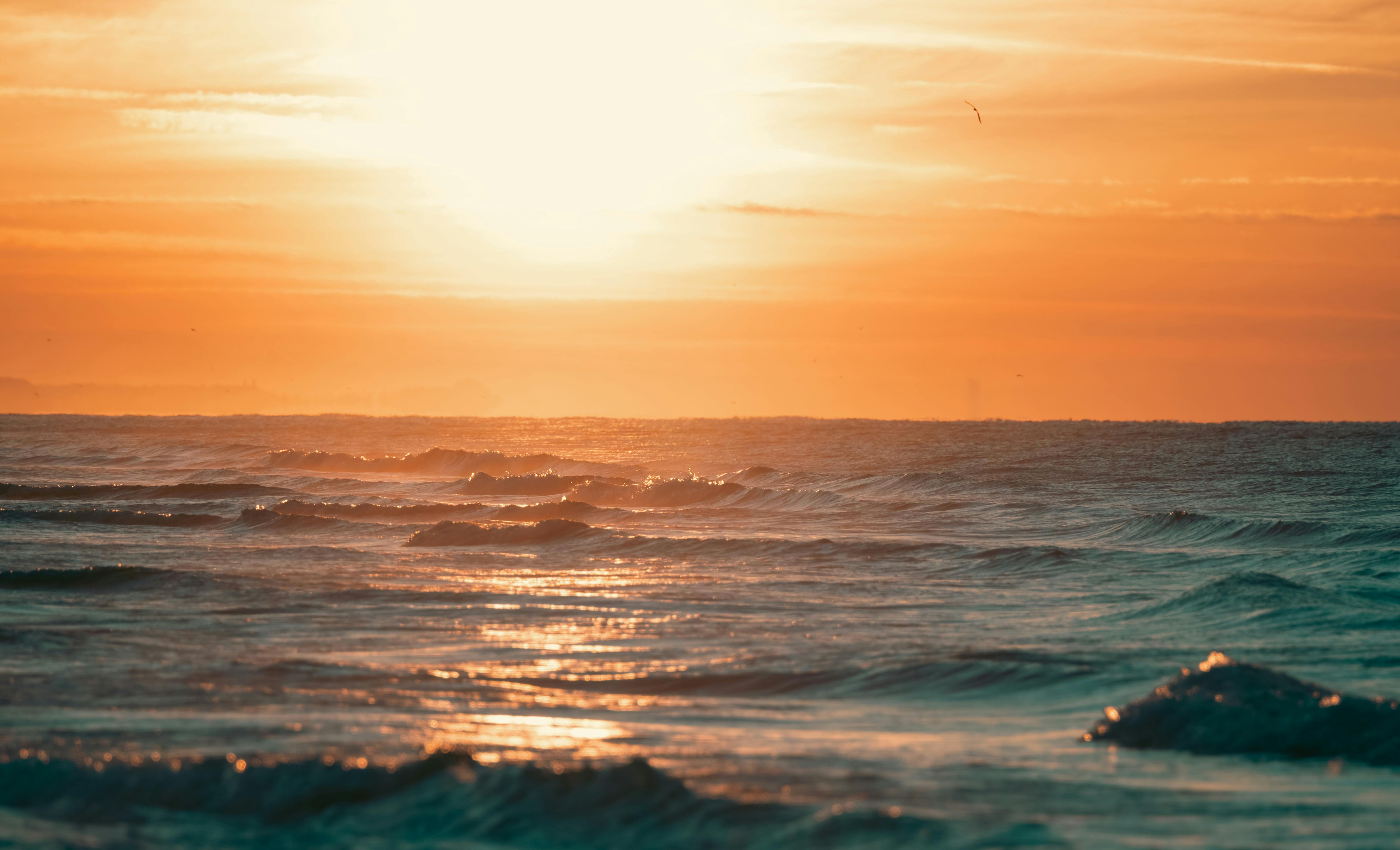 Photo of the Ocean During Sunset · Free Stock Photo