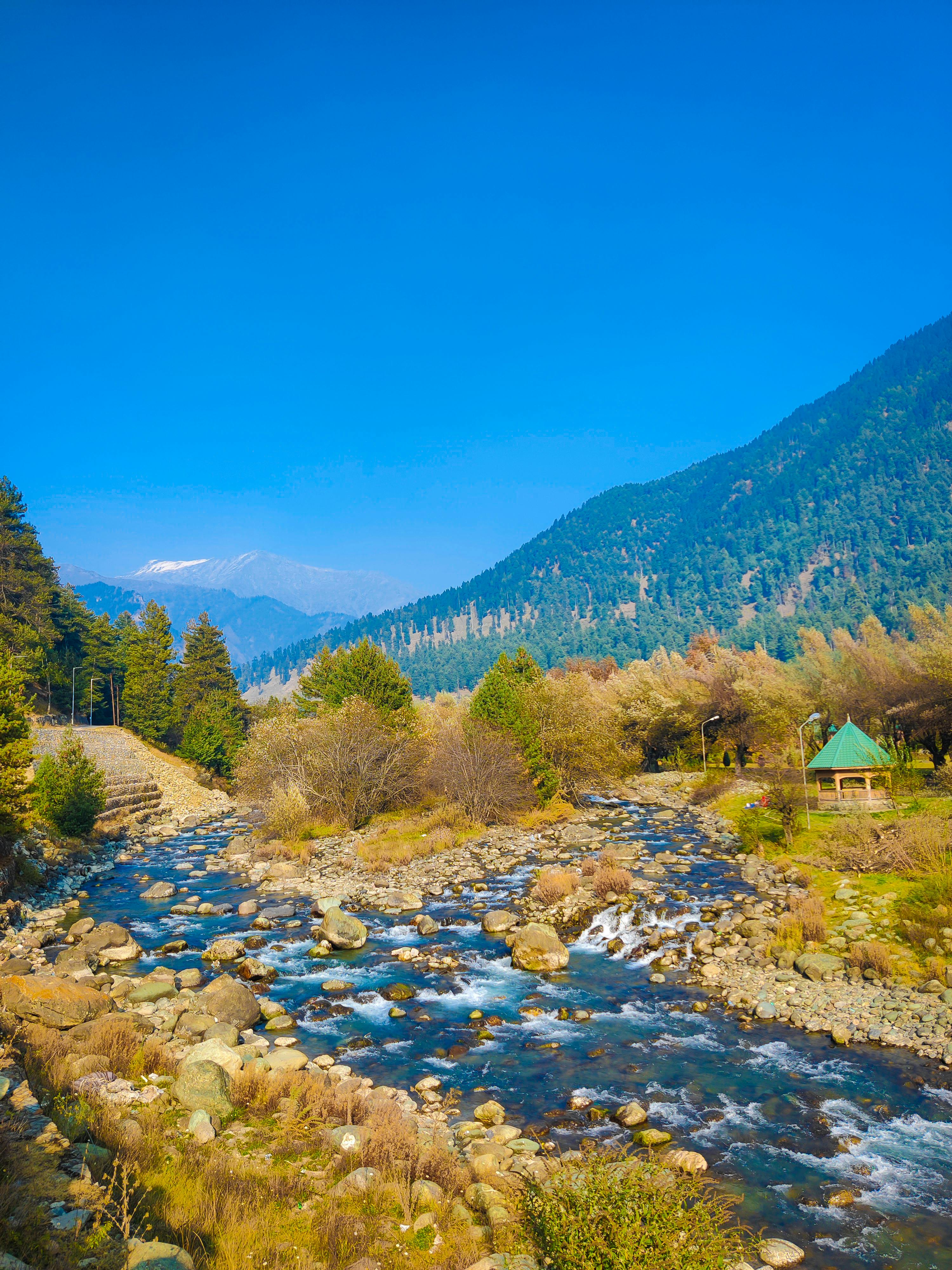 Stream in Mountains · Free Stock Photo