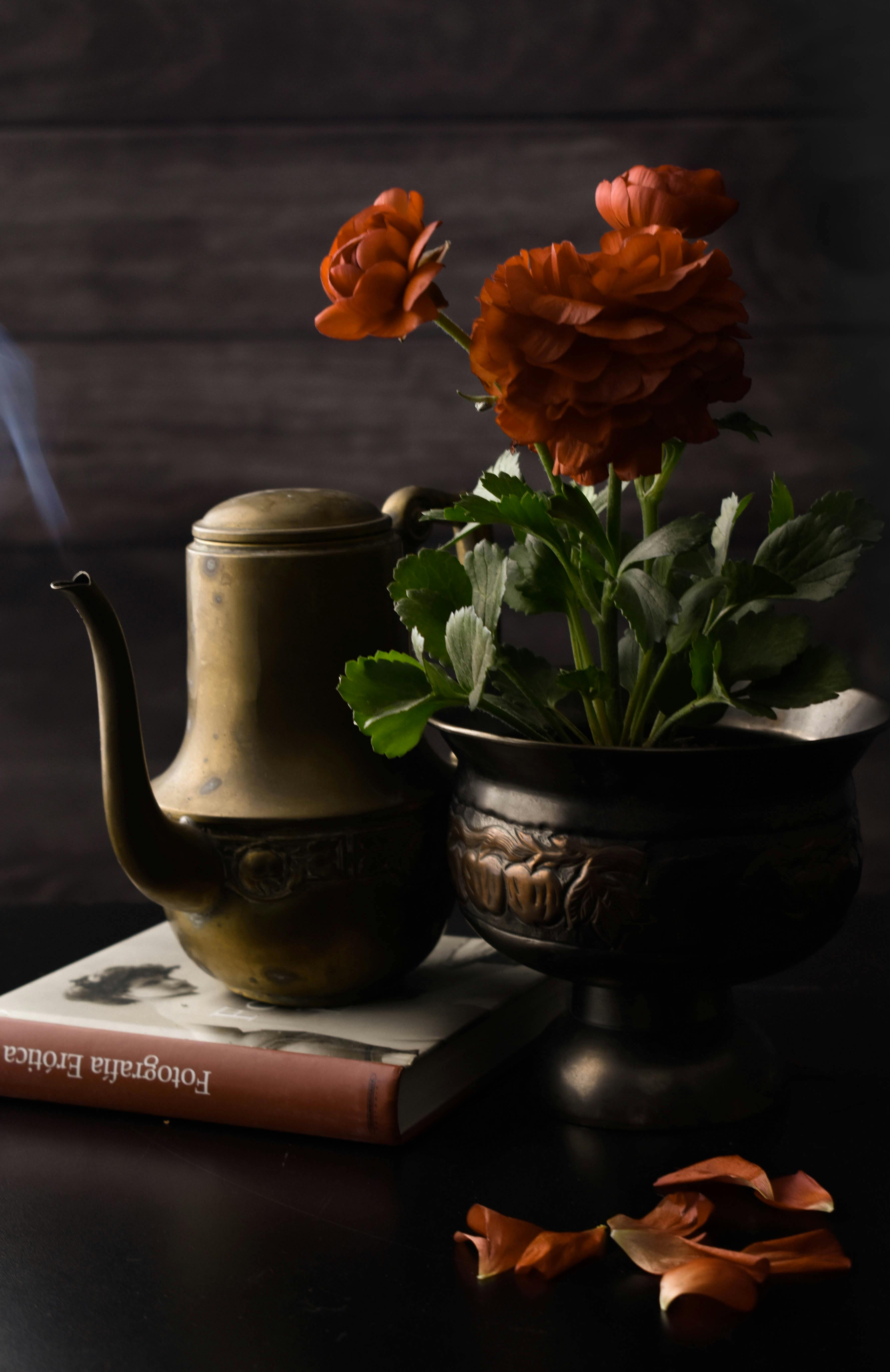 Hop Low Key Photos, Download Free Hop Low Key Stock Photos & HD Images